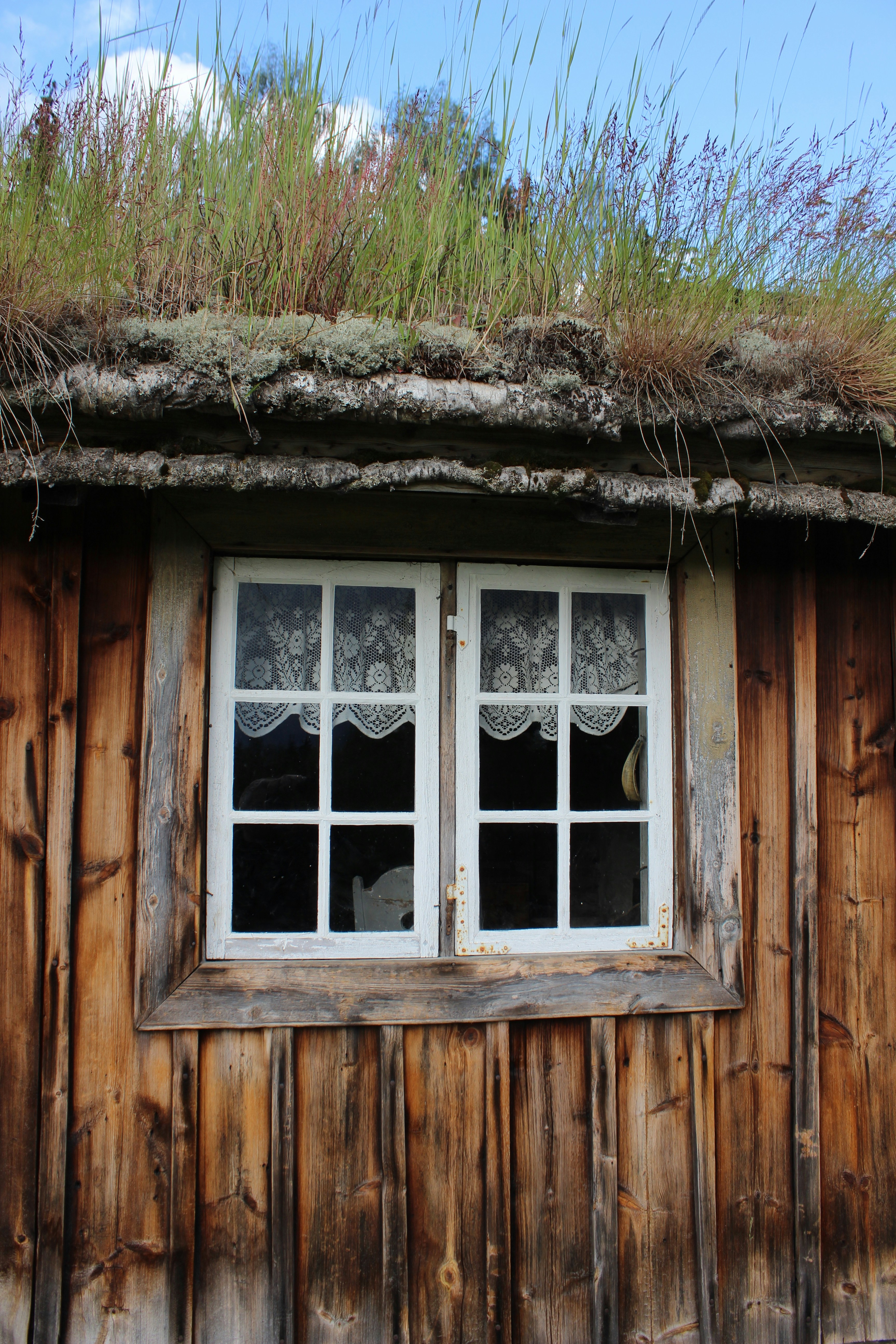 Gress Pictures | Download Free Images on Unsplash