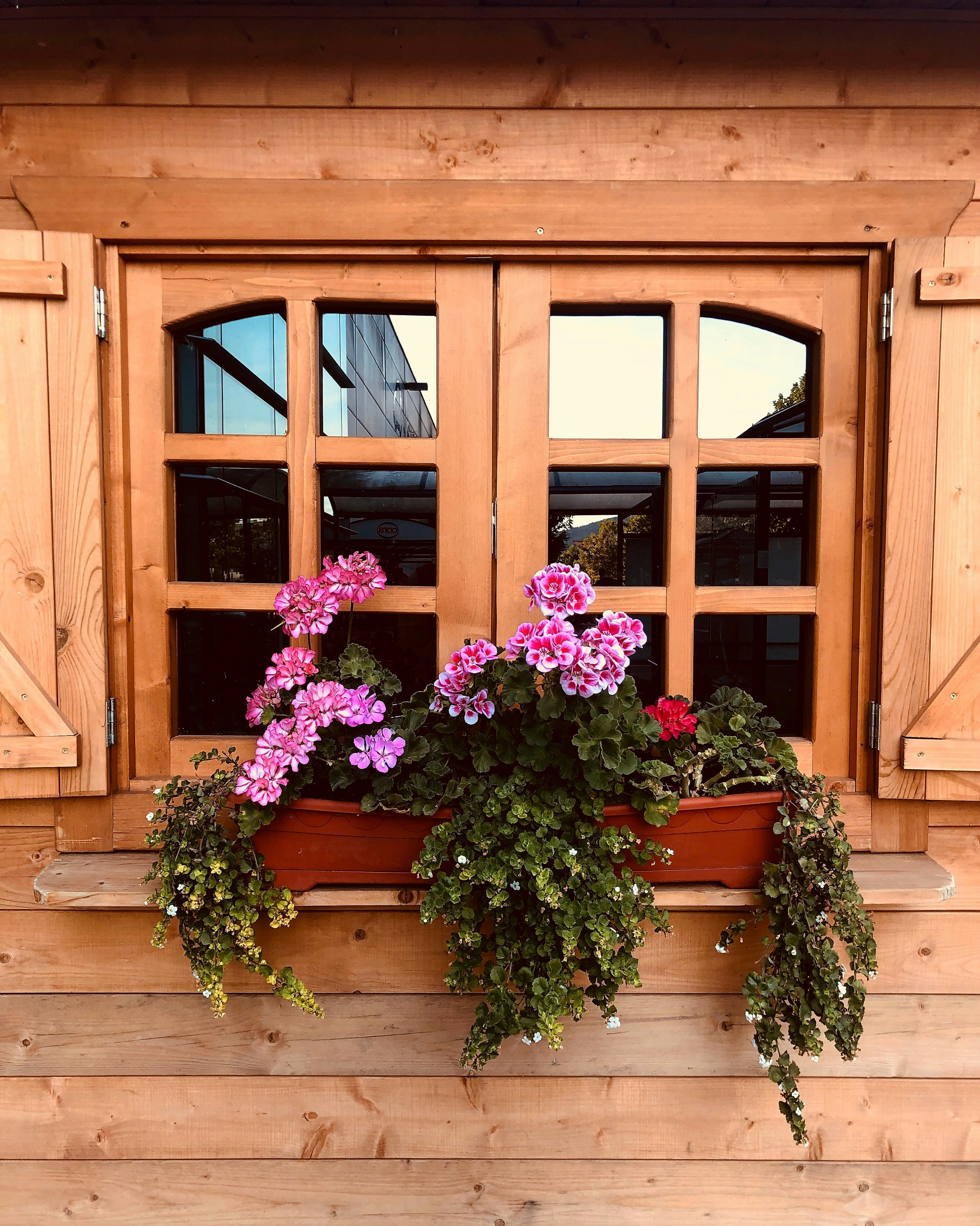 Vibrant pink and red flowers cascade from a window box, framing a rustic wooden window with multiple panes. The scene exudes a cozy, inviting atmosphere.