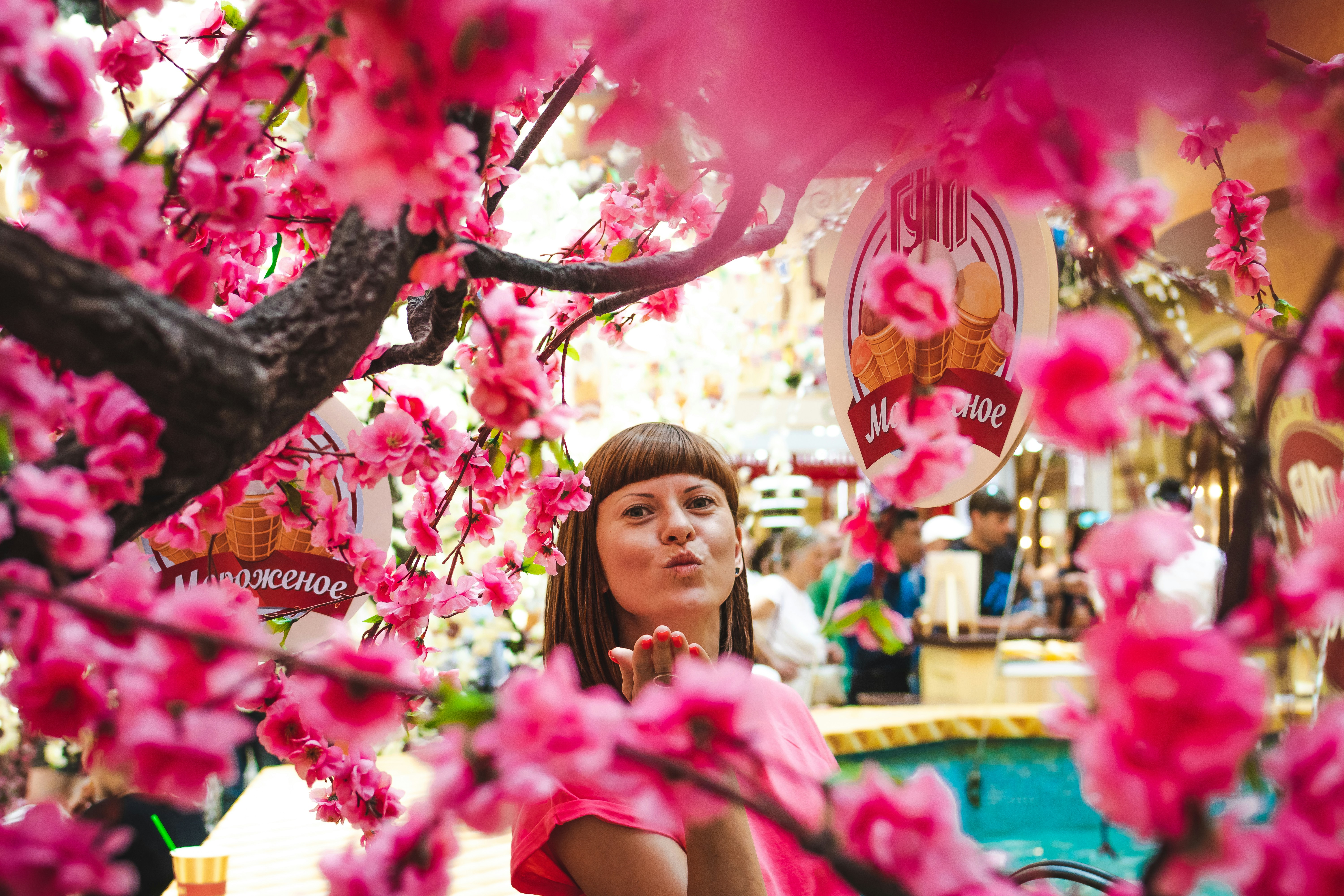 Kiss Behind the Pink Canopy: A Festival Portrait Among Blooming Petals