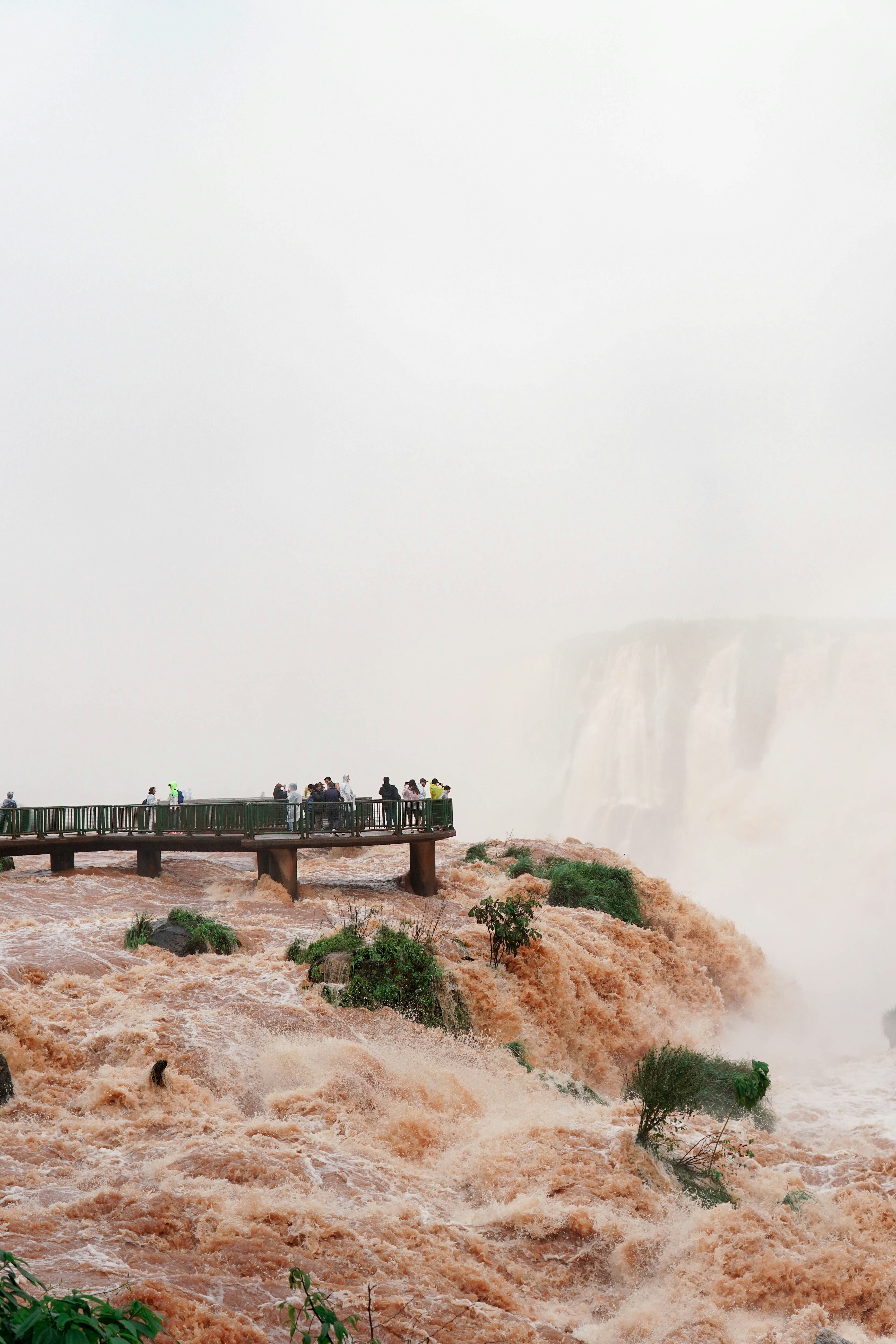 Brazil | 100+ best free photos on Unsplash