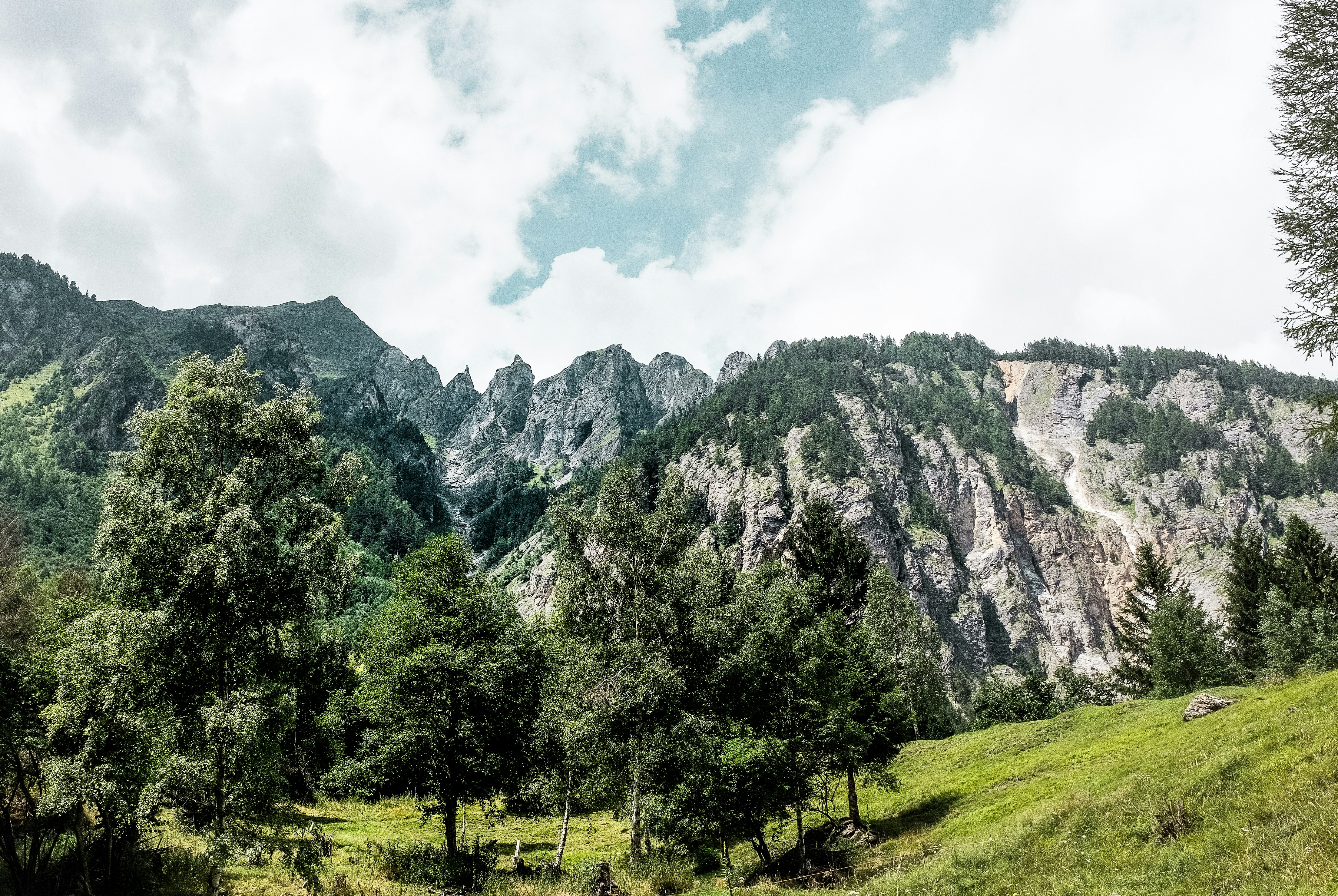 Sunlit Tapestry: Alpine Meadow Beneath Rugged Peaks