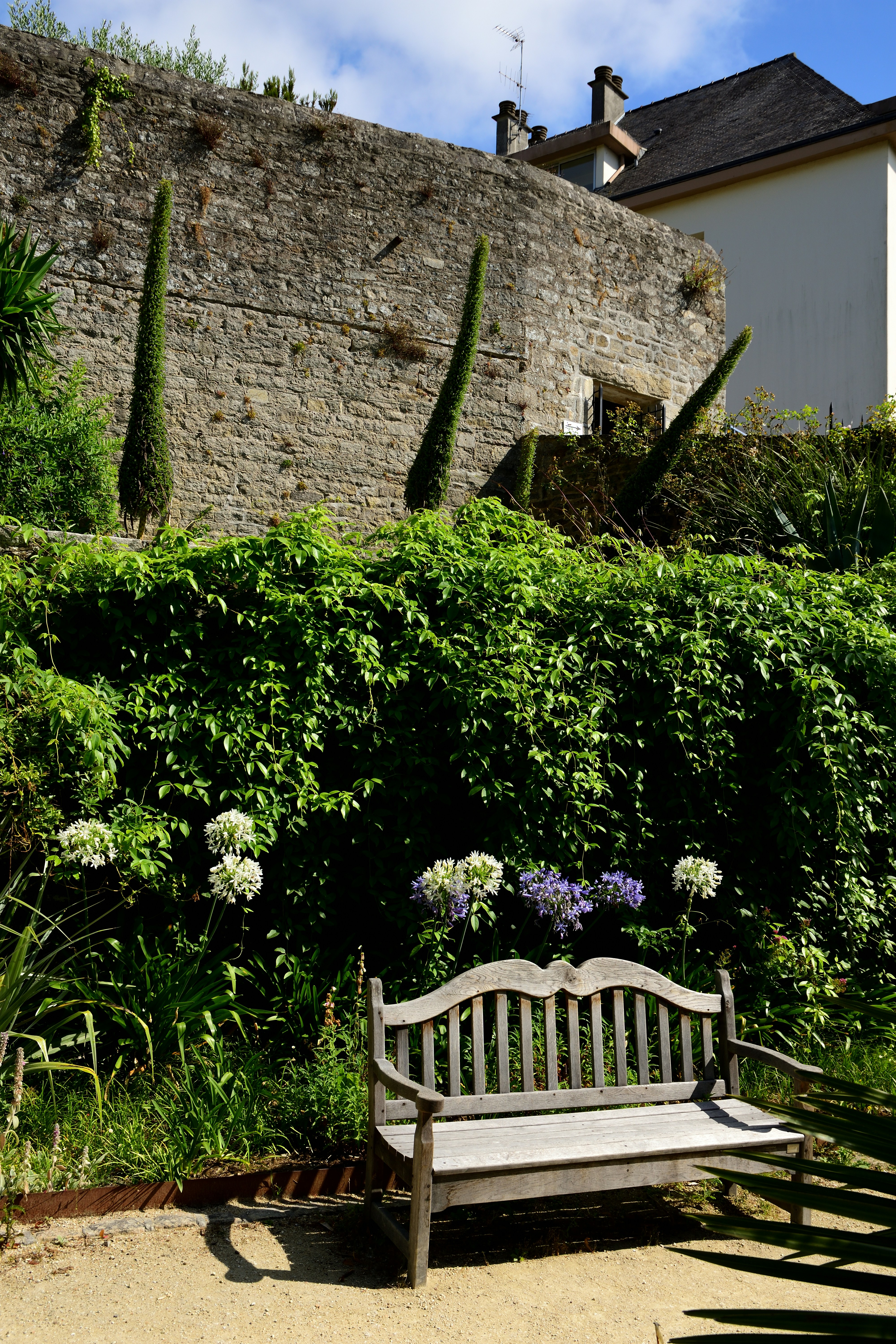 A rustic wooden bench nestled among vibrant green foliage and blooming flowers, set against a stone wall. The scene evokes tranquility and invites relaxation.