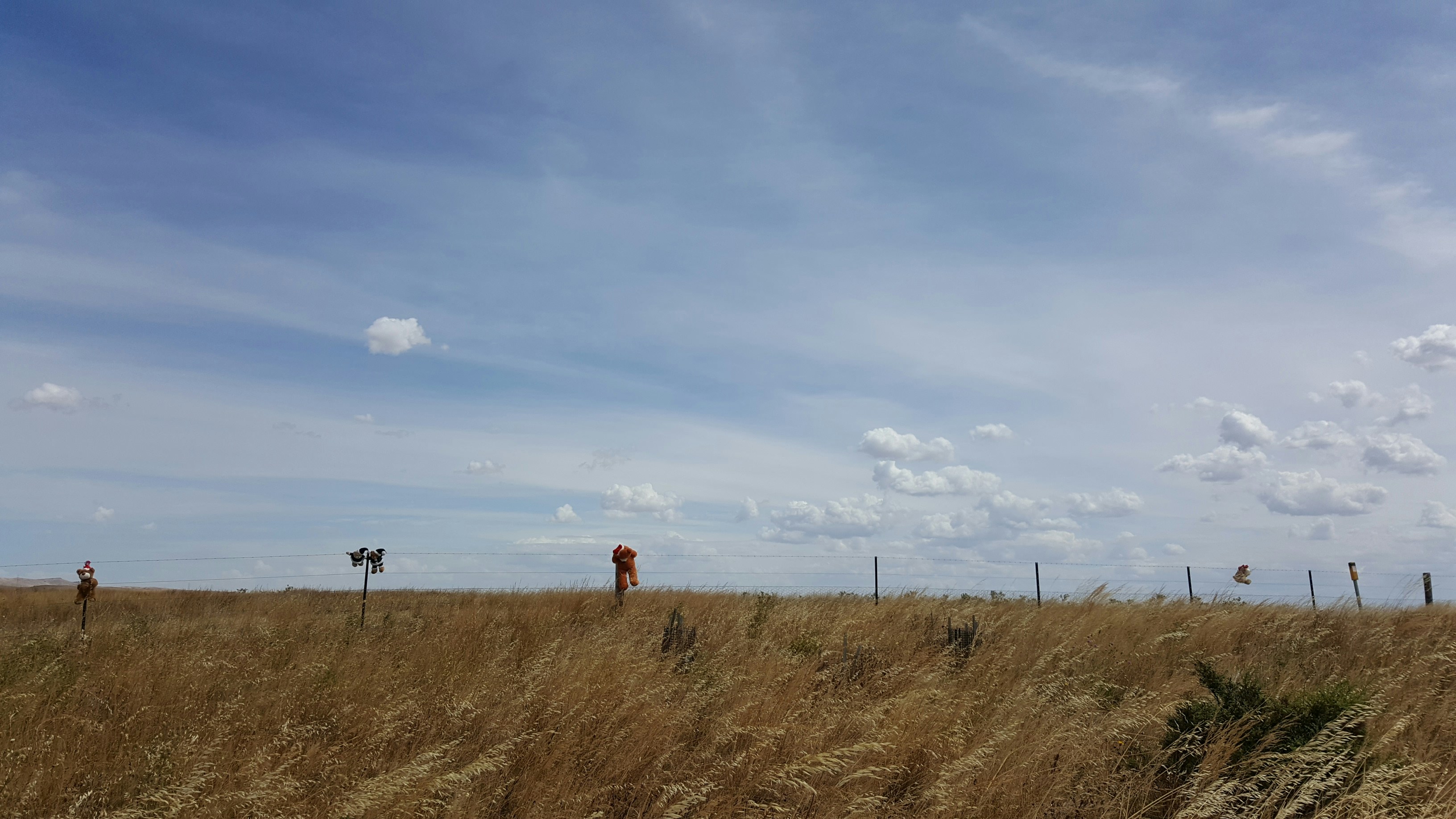 Two figures stand amidst tall grass under a vast, cloud-dotted sky.