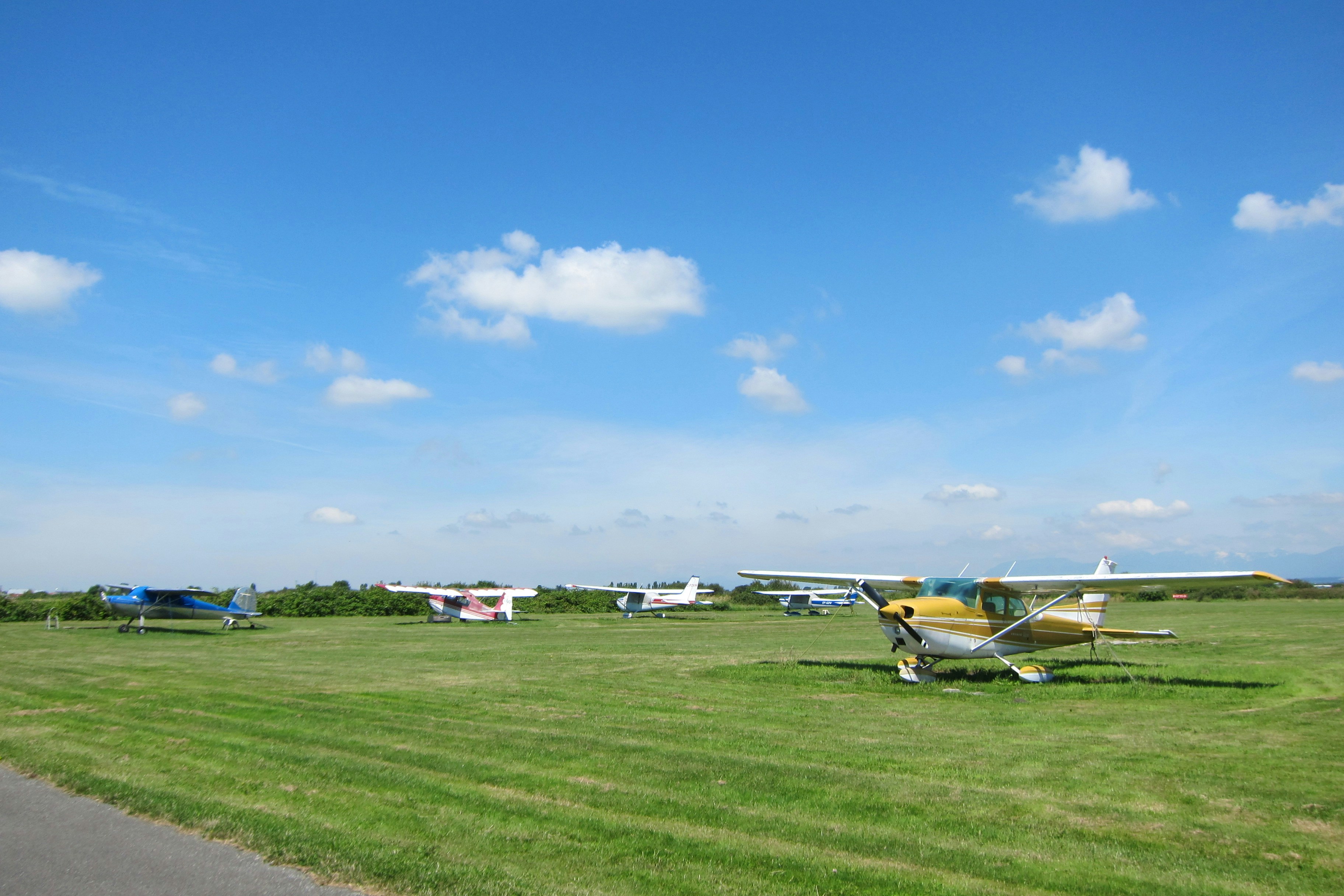 A lineup of vintage aircraft parked on a grassy airfield under a clear blue sky, showcasing their varied colors and designs.