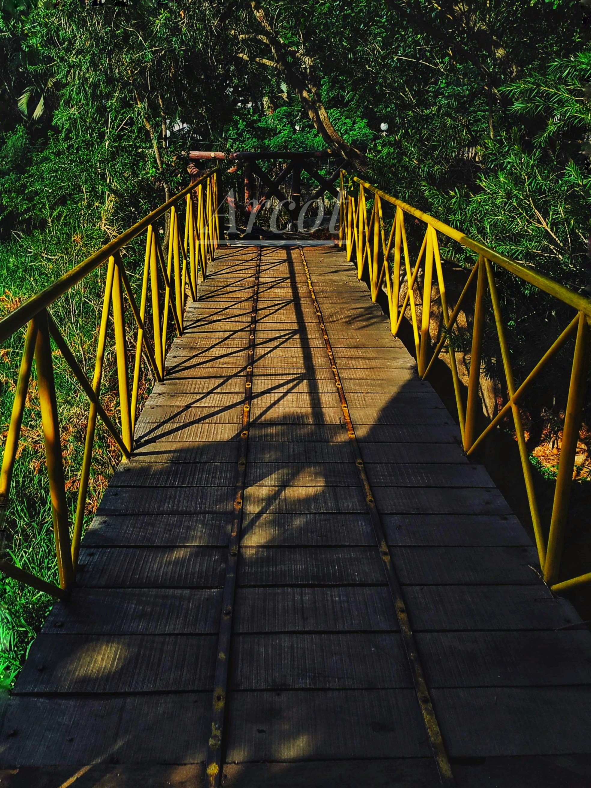 A yellow bridge stretches over lush greenery, its wooden planks casting intricate shadows under a bright sun.