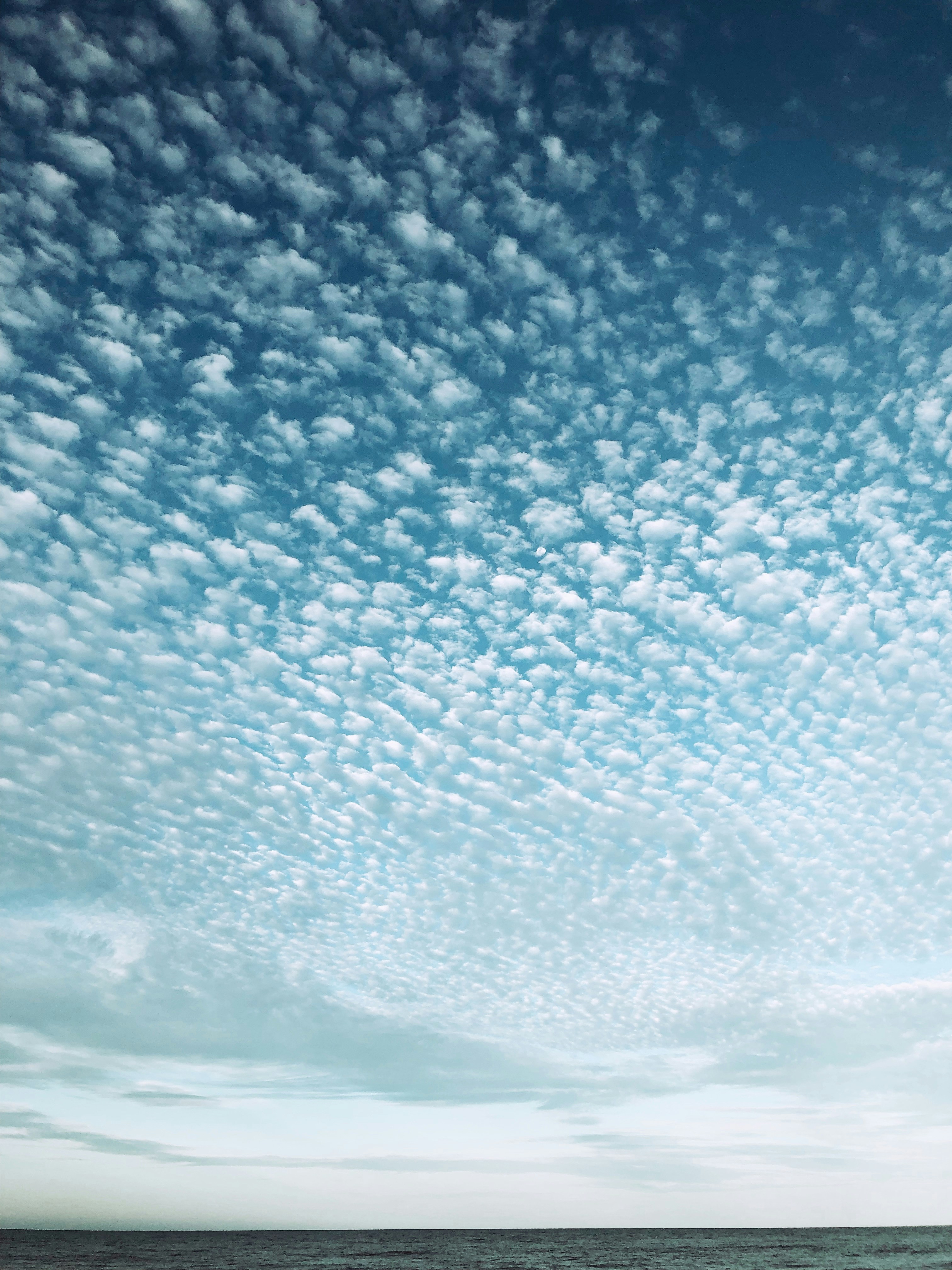 Altocumulus Mosaic Over a Quiet Ocean Horizon