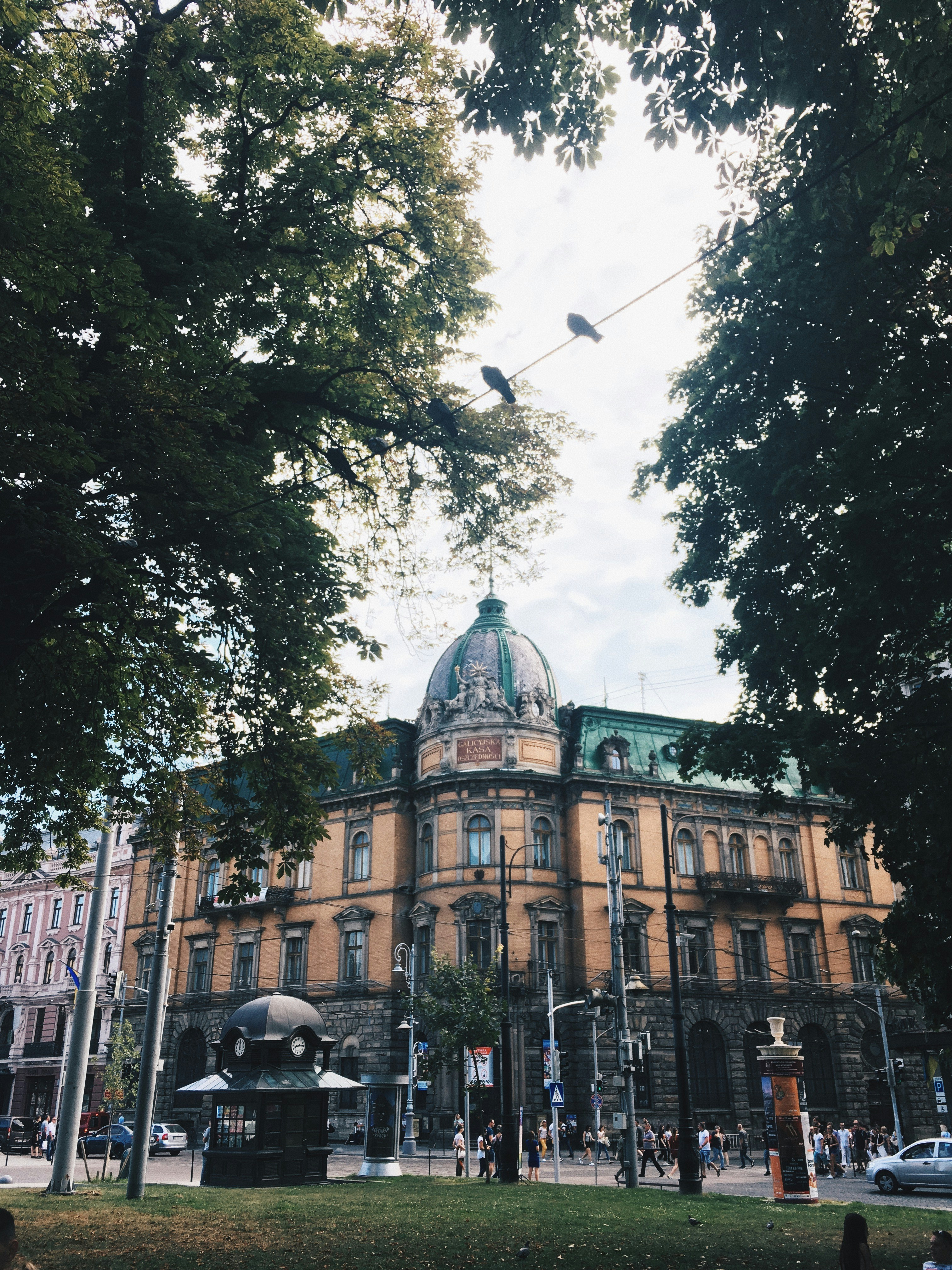 Dome in the Shade: A City Square Framed by Trees and Wire