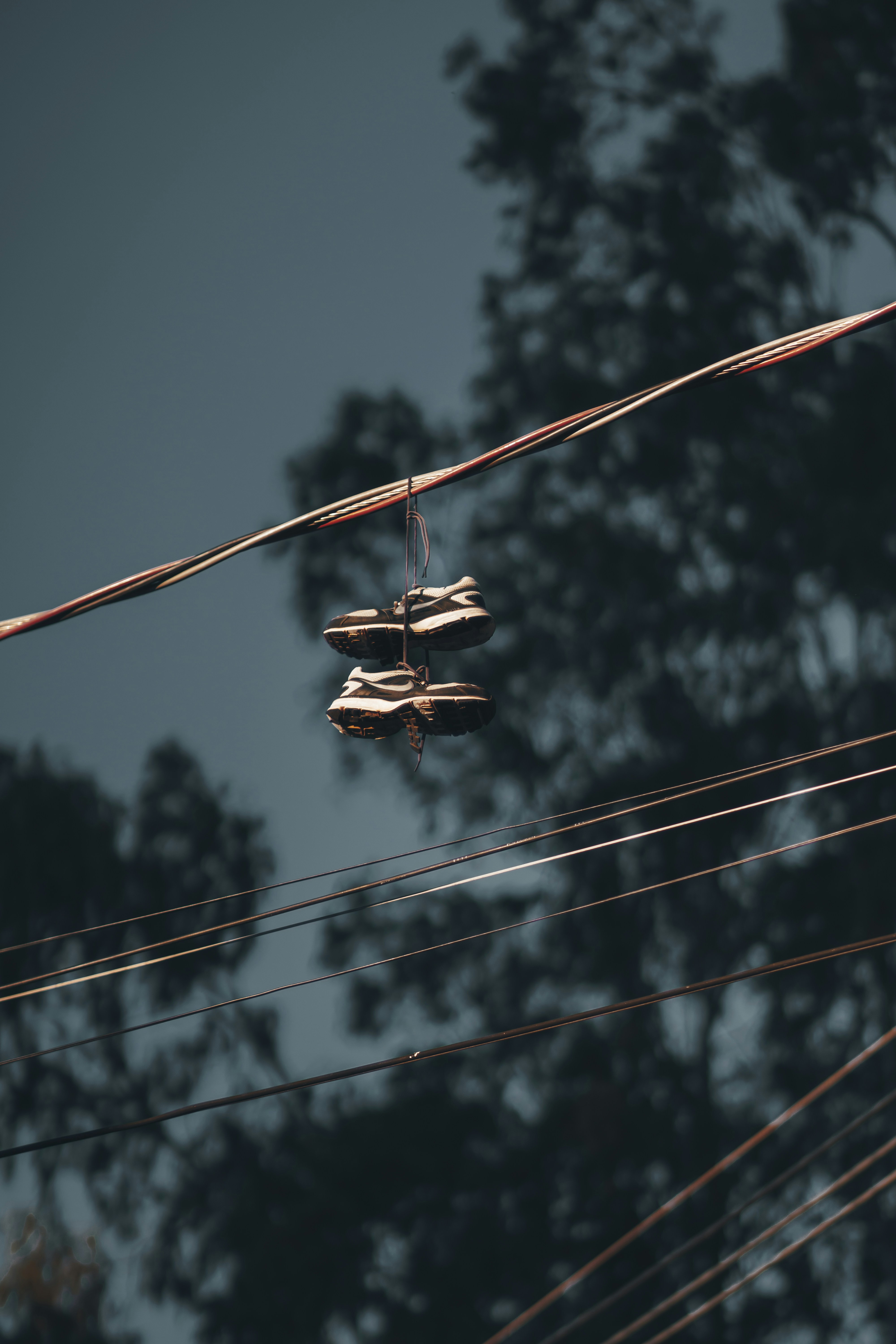 Shoes on a Cable: A Quiet Pause Above the Forest