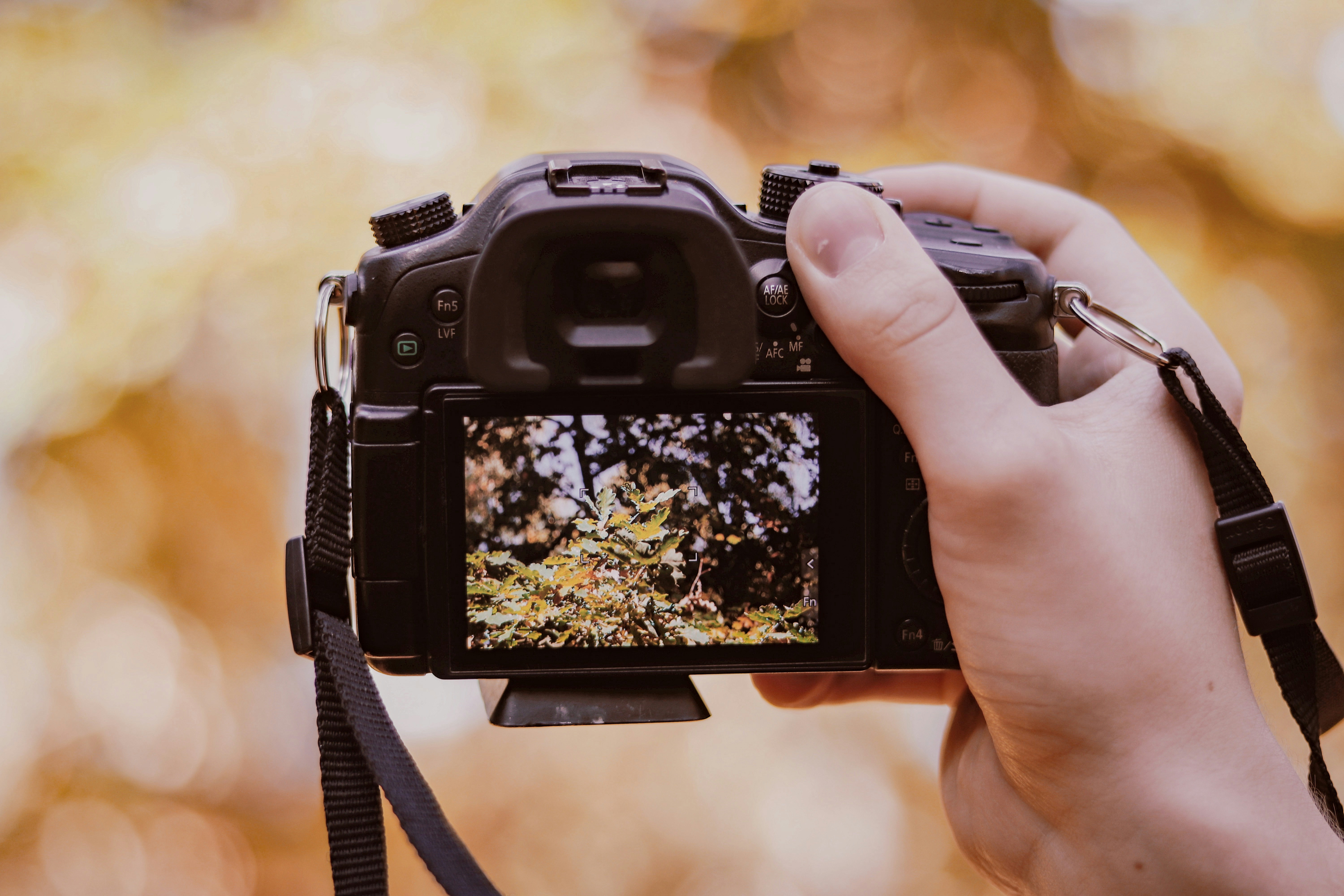Person holding DSLR camera photo – Free Portrait Image on Unsplash