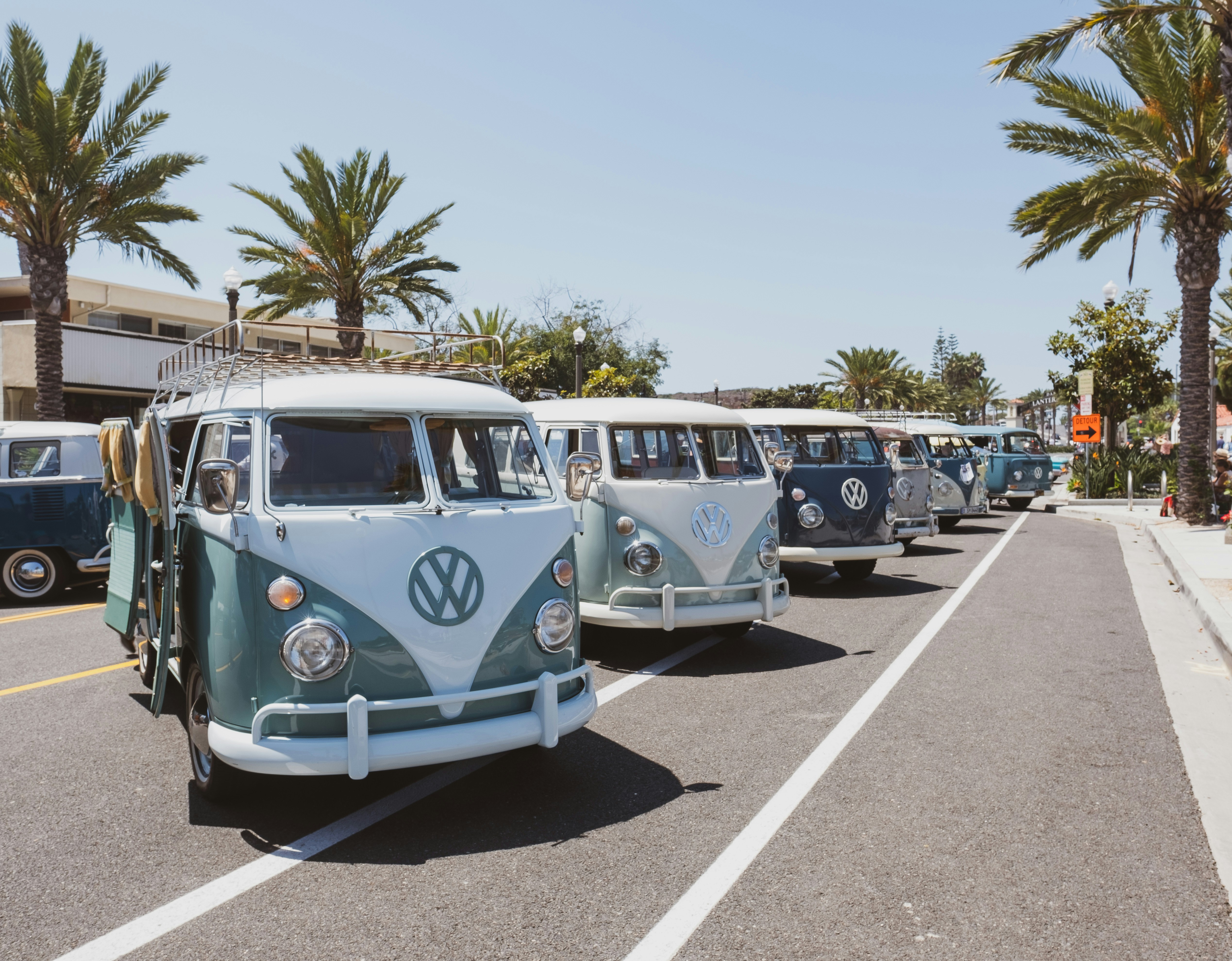 Pastel Caravan Along Palm-Lined Avenue: A Row of Vintage VW Buses