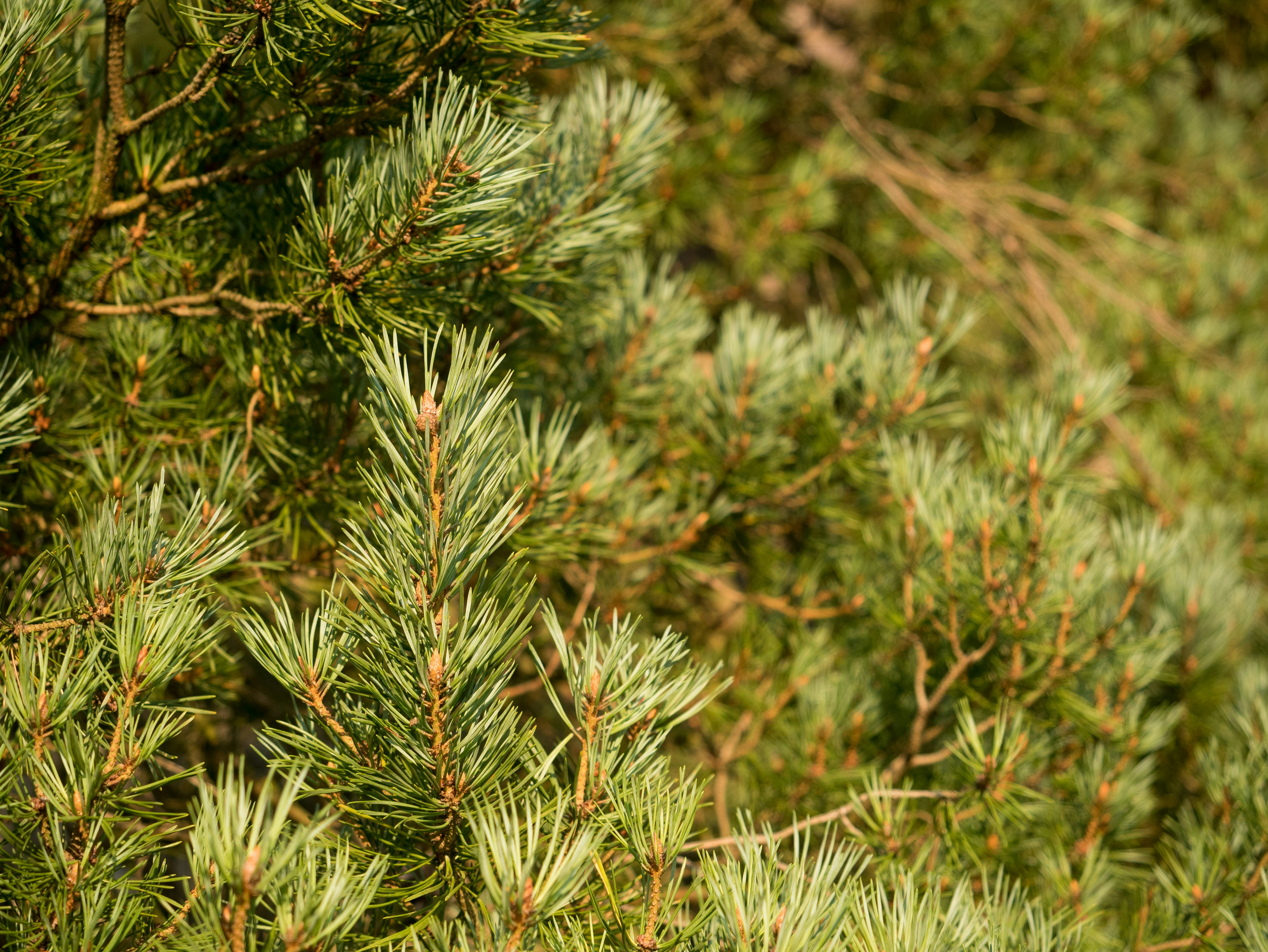 Imágenes de Kettleworth | Descarga imágenes gratuitas en Unsplash