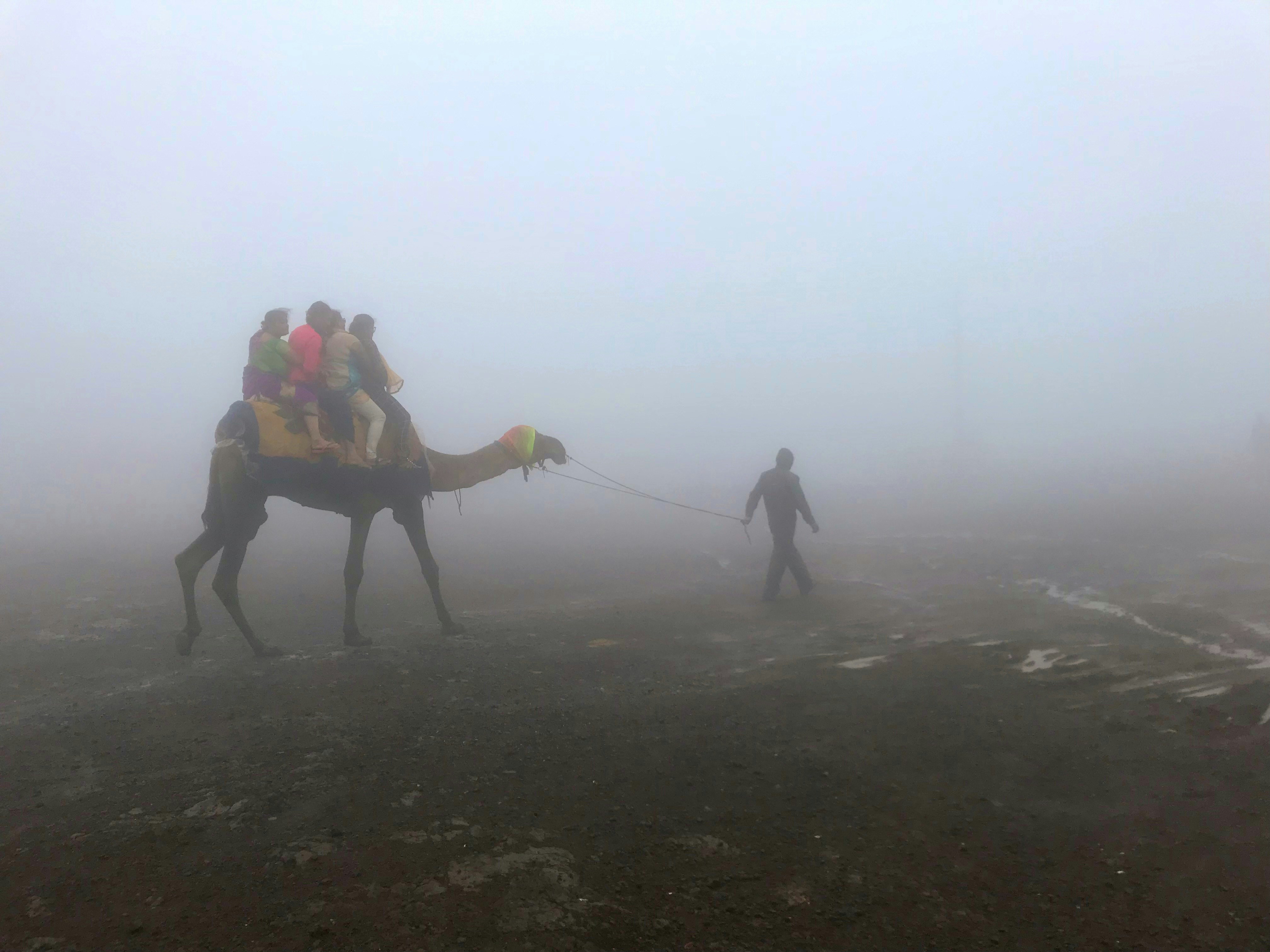 People riding camel photo – Free Grey Image on Unsplash