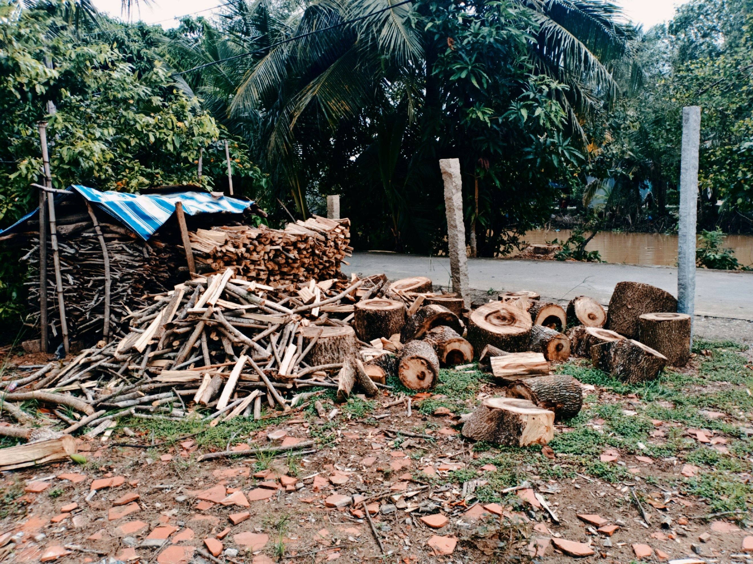Stacked firewood and logs arranged near a shelter amidst lush greenery. The scene conveys a tranquil outdoor setting.