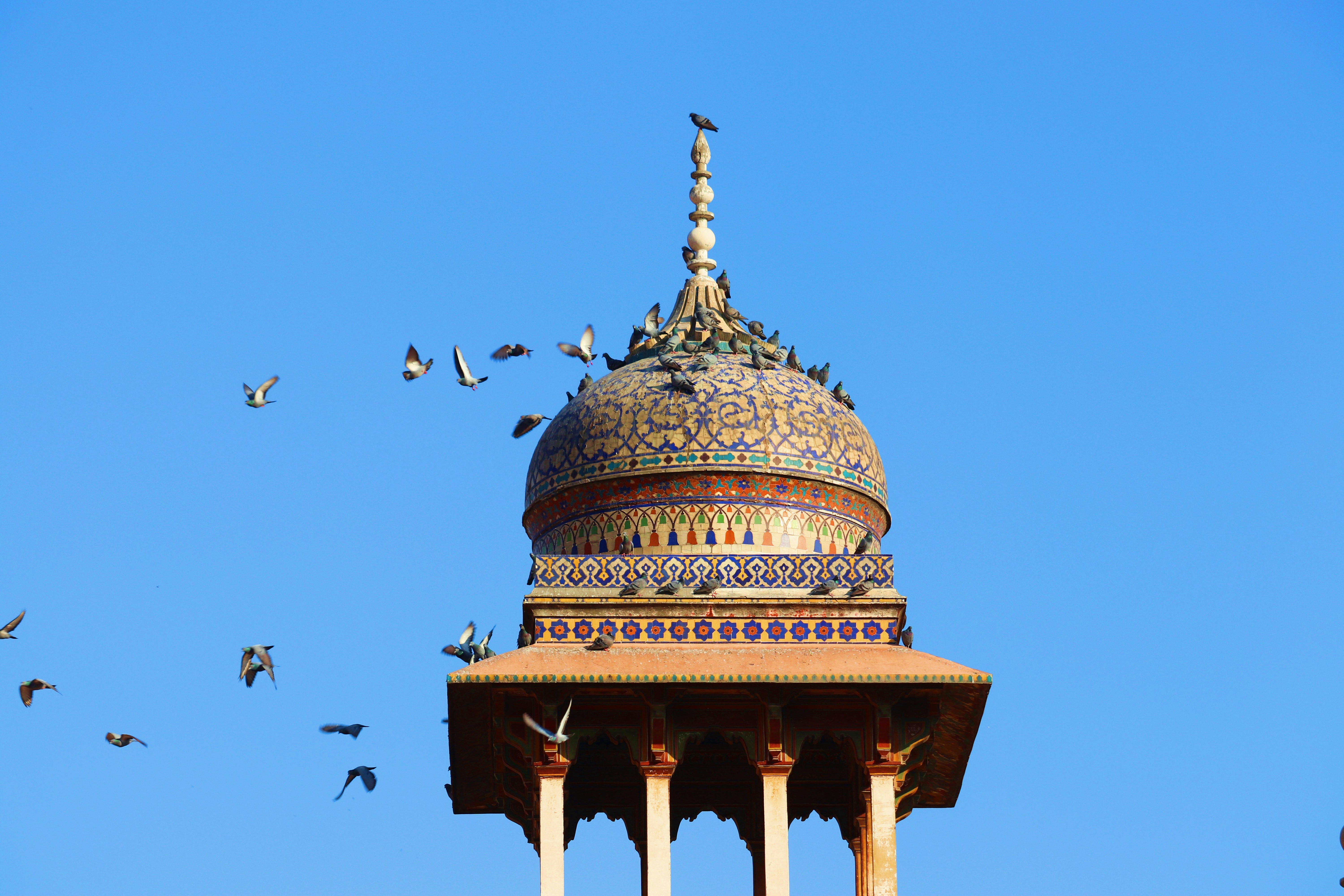 Ornate Dome Under a Sky of Wings