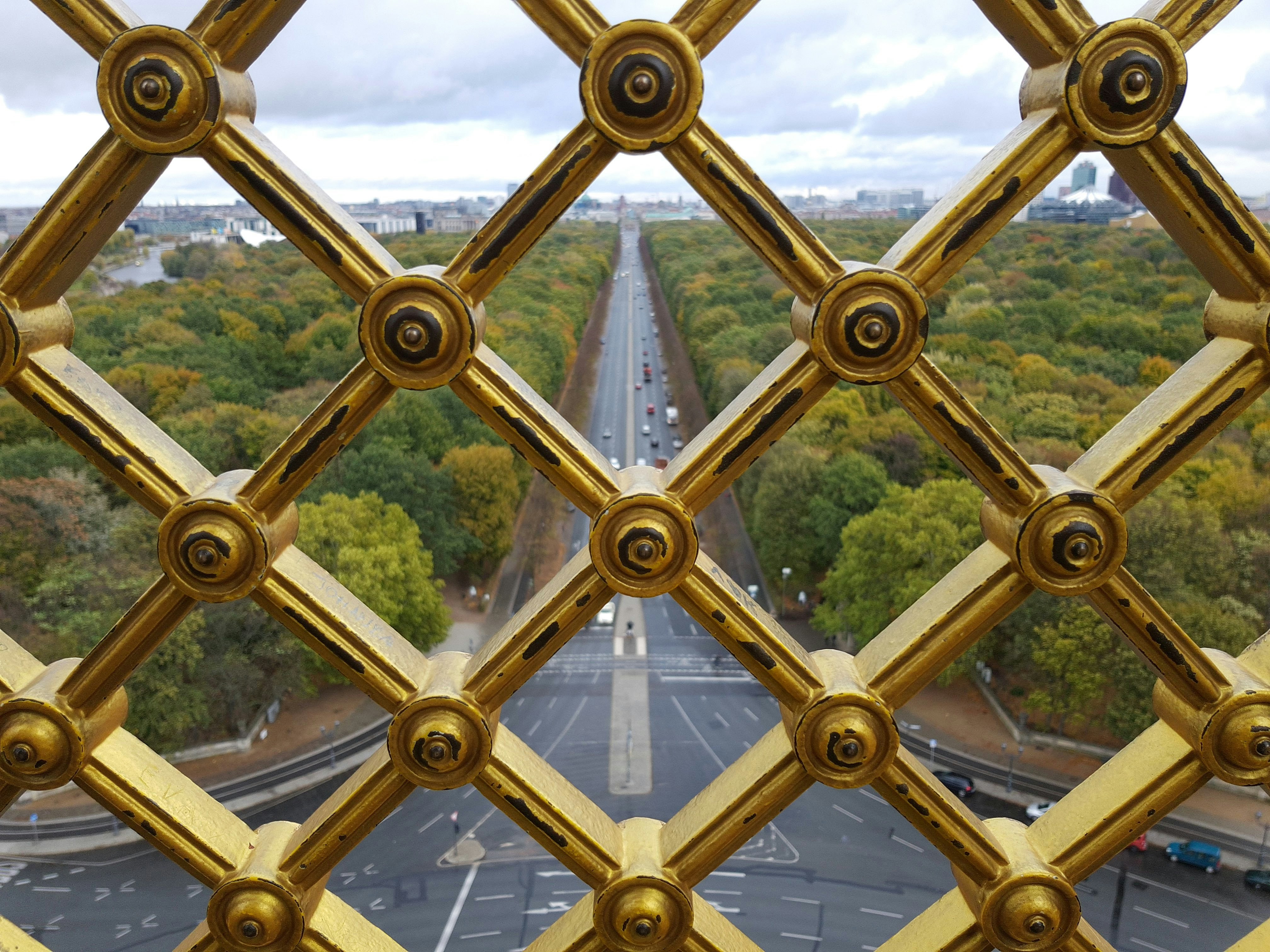 Golden Lattice Framing a Tree-Lined Avenue Toward the City Horizon