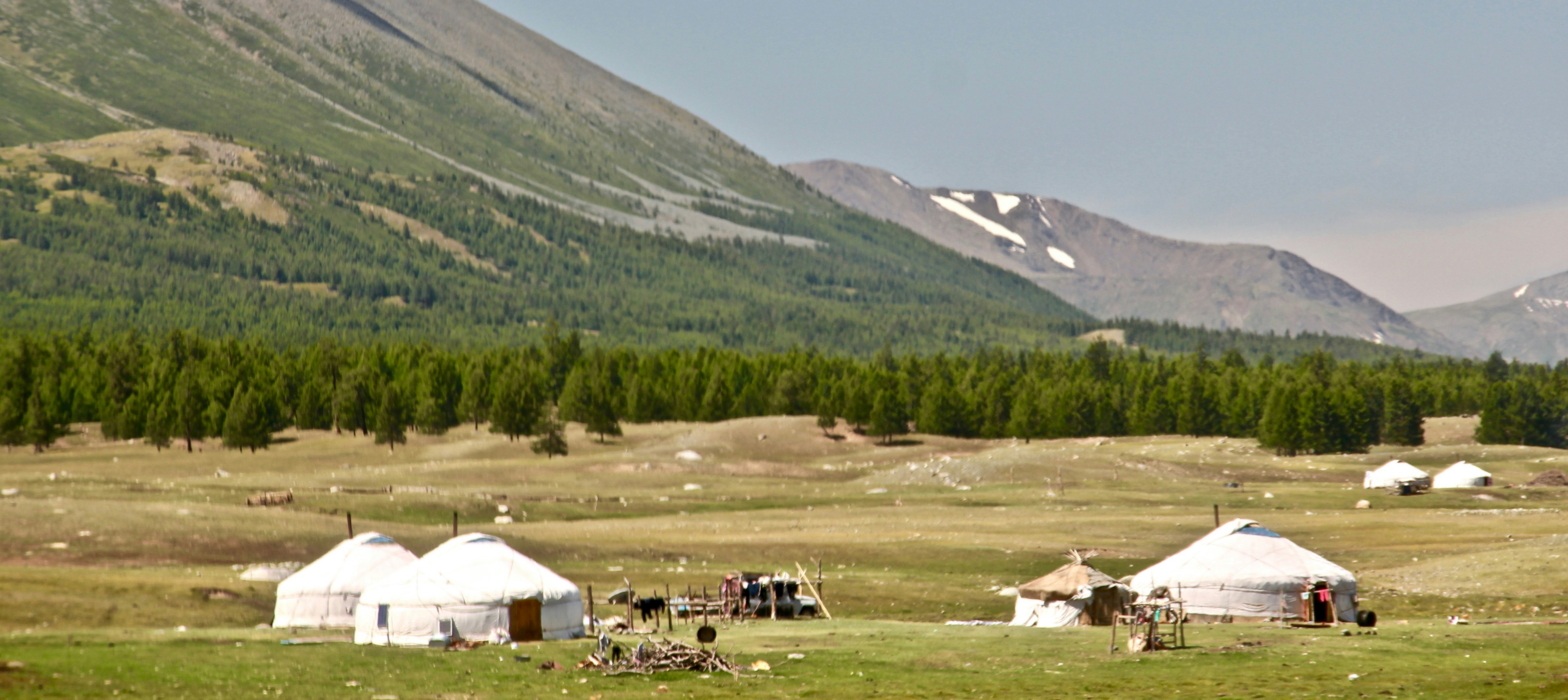 Traditional yurts nestled in a vast Mongolian steppe, surrounded by rolling hills and greenery.