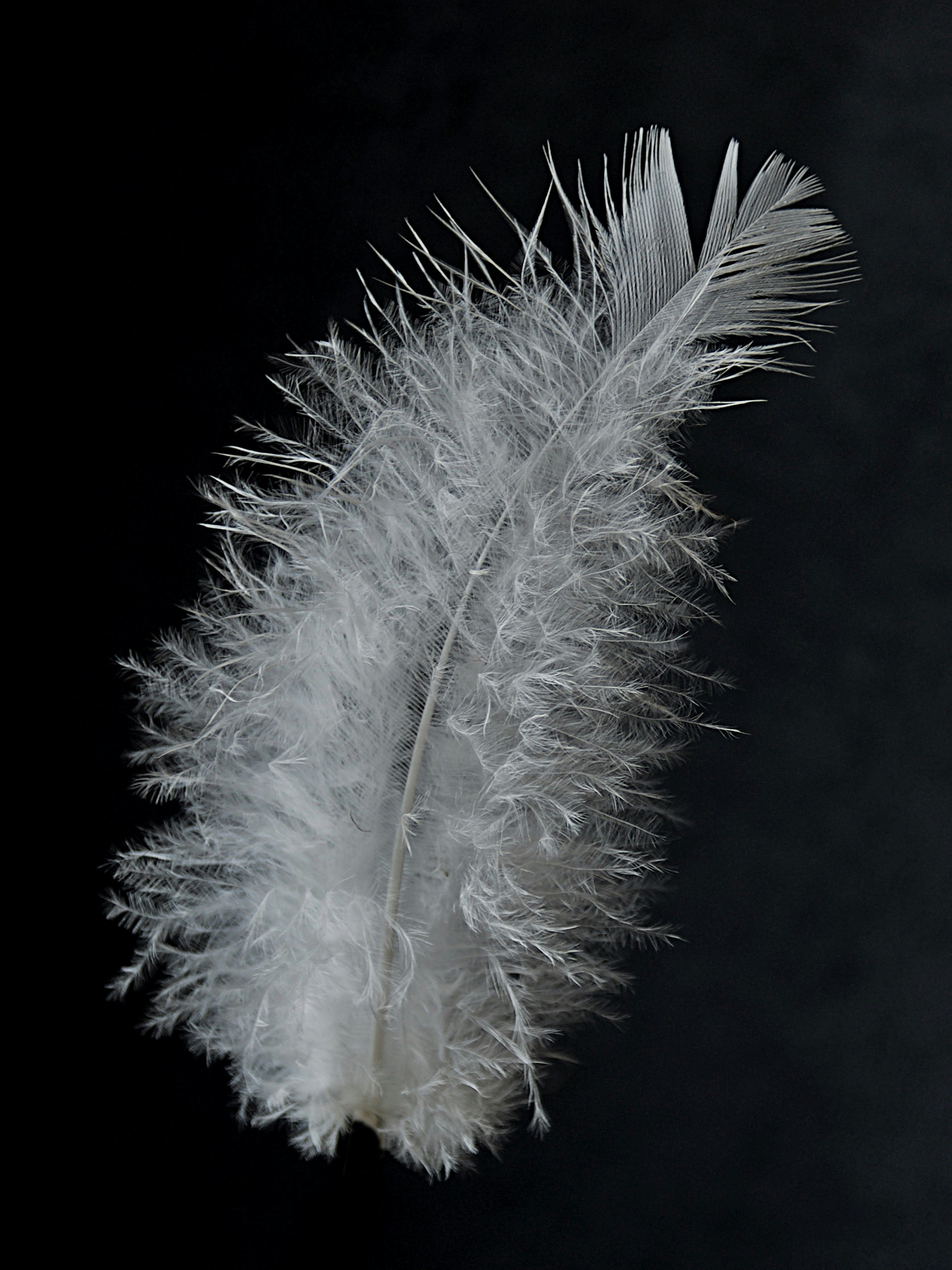 Photo by Mario Beducci with Nikon D7000