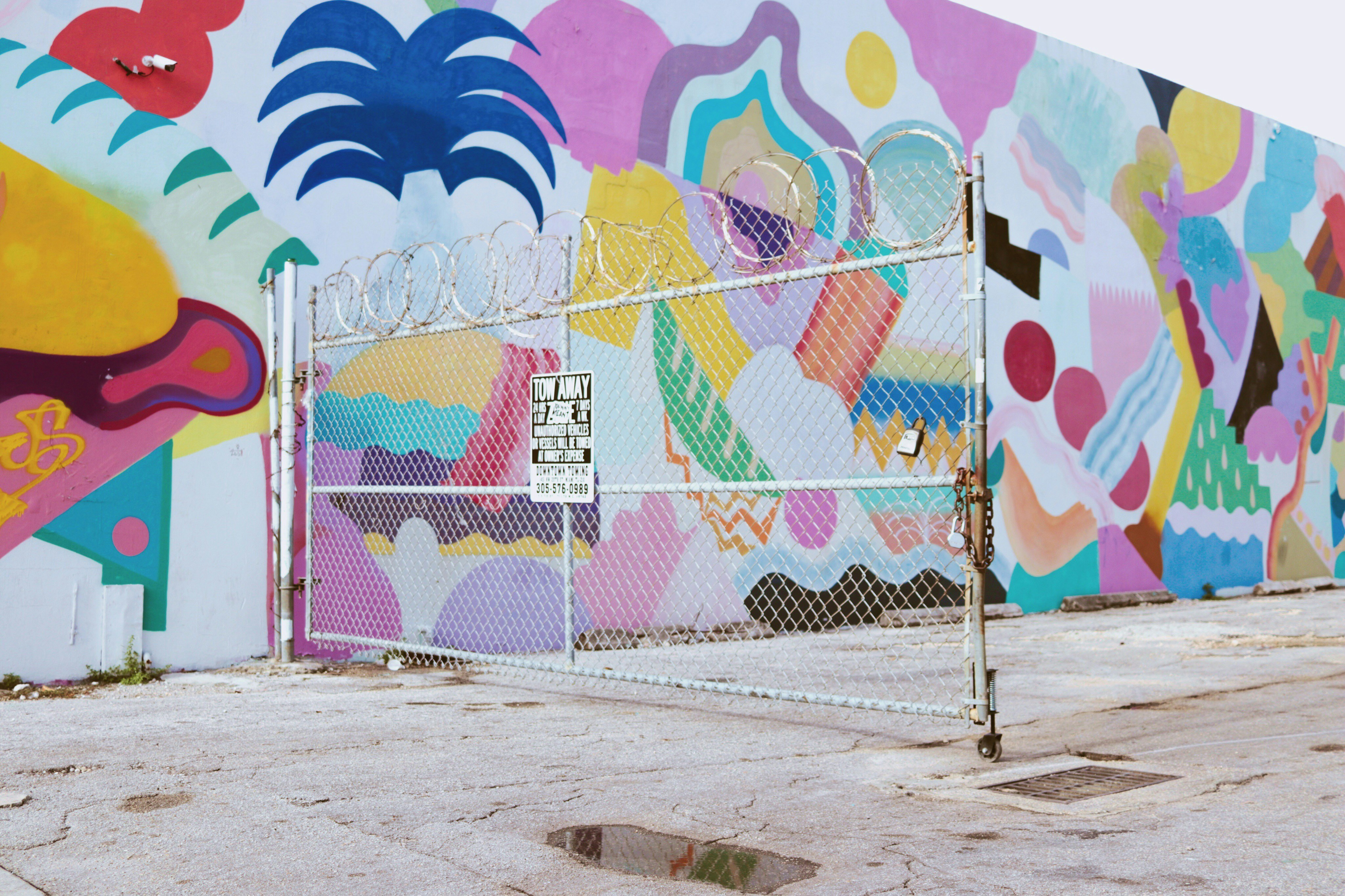 Gray cyclone fence photo – Free Art Image on Unsplash