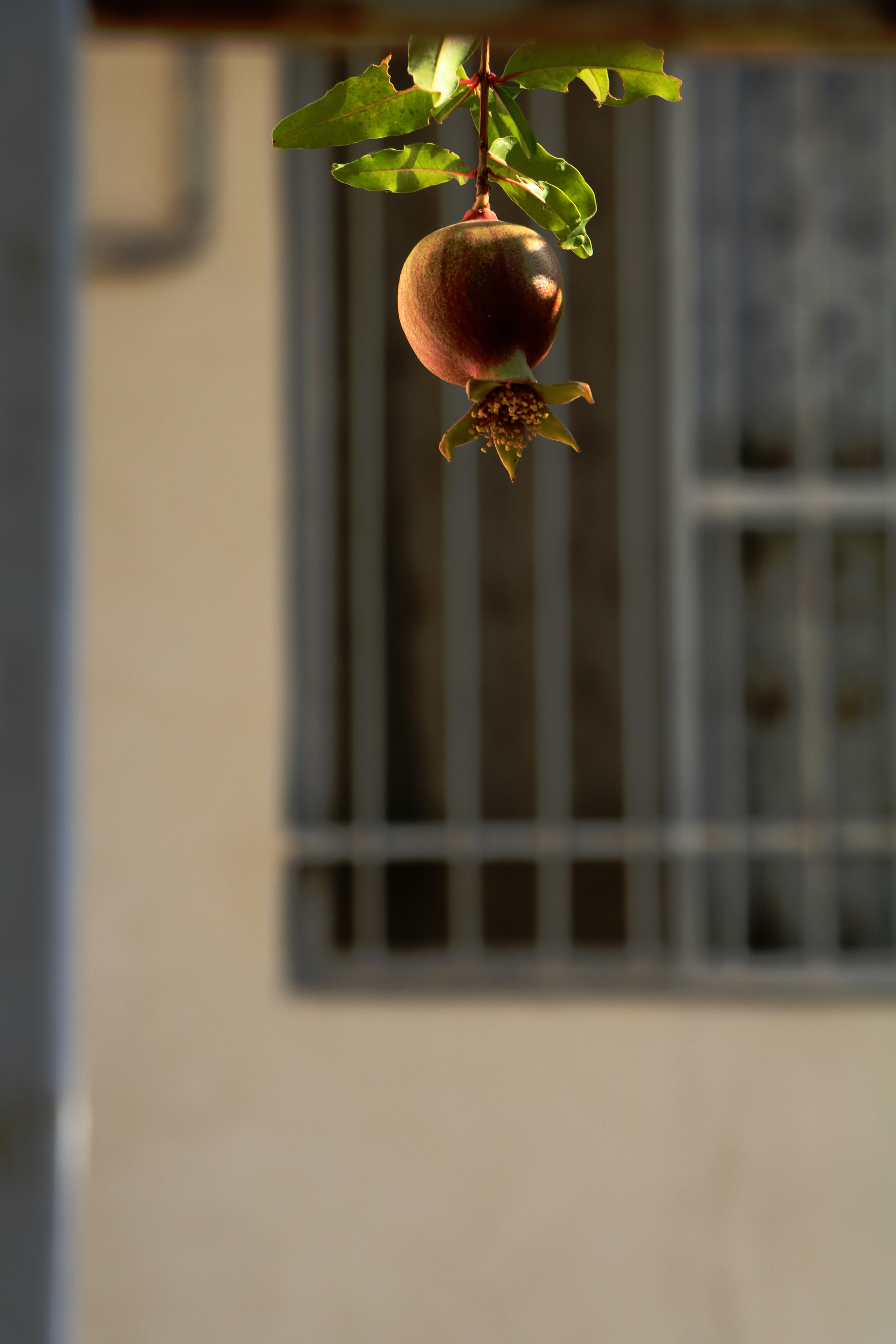 Autumn is coming ,wait for...