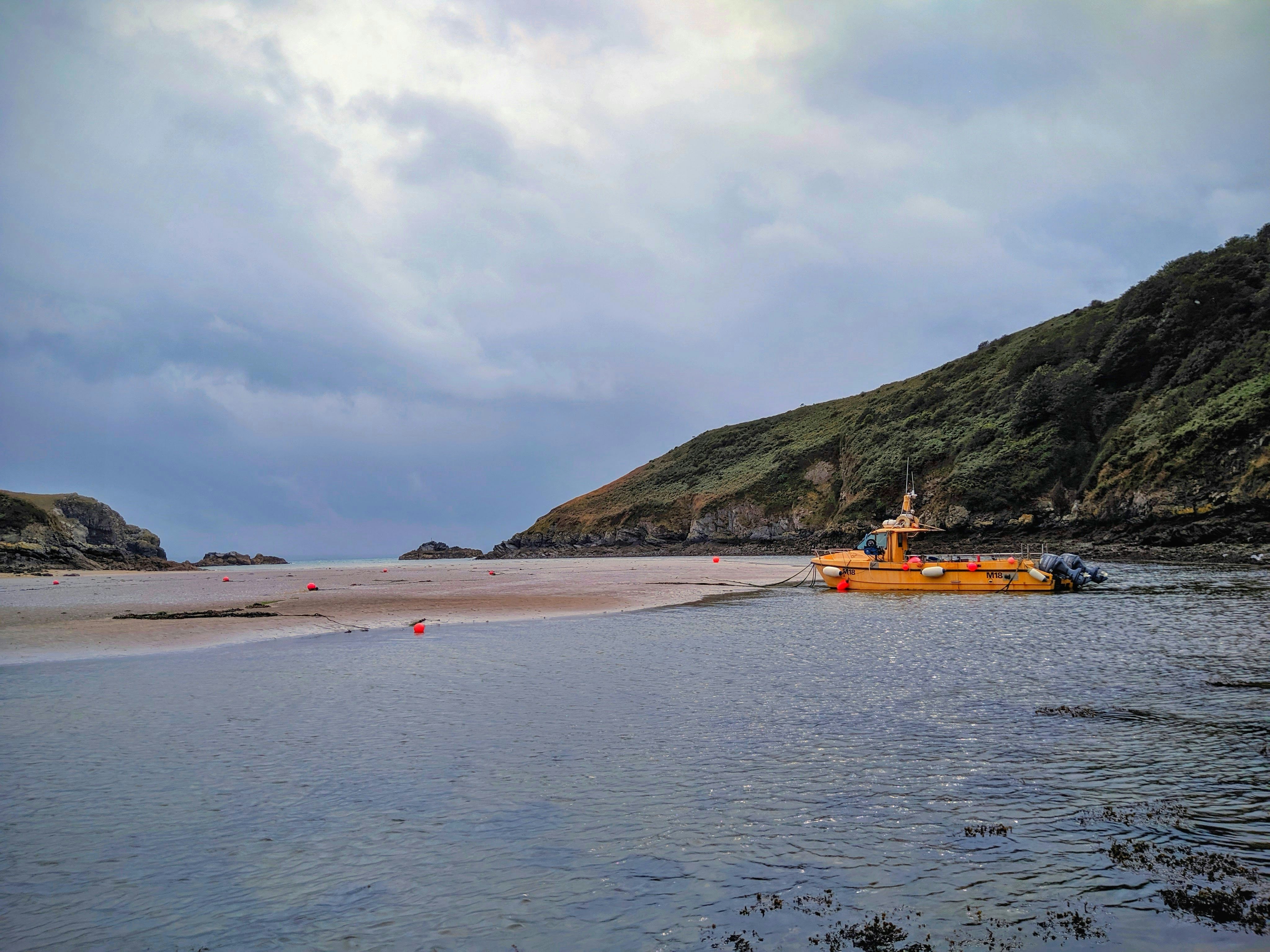 Tide Meadow with a Work Boat Anchored Near the Shore
