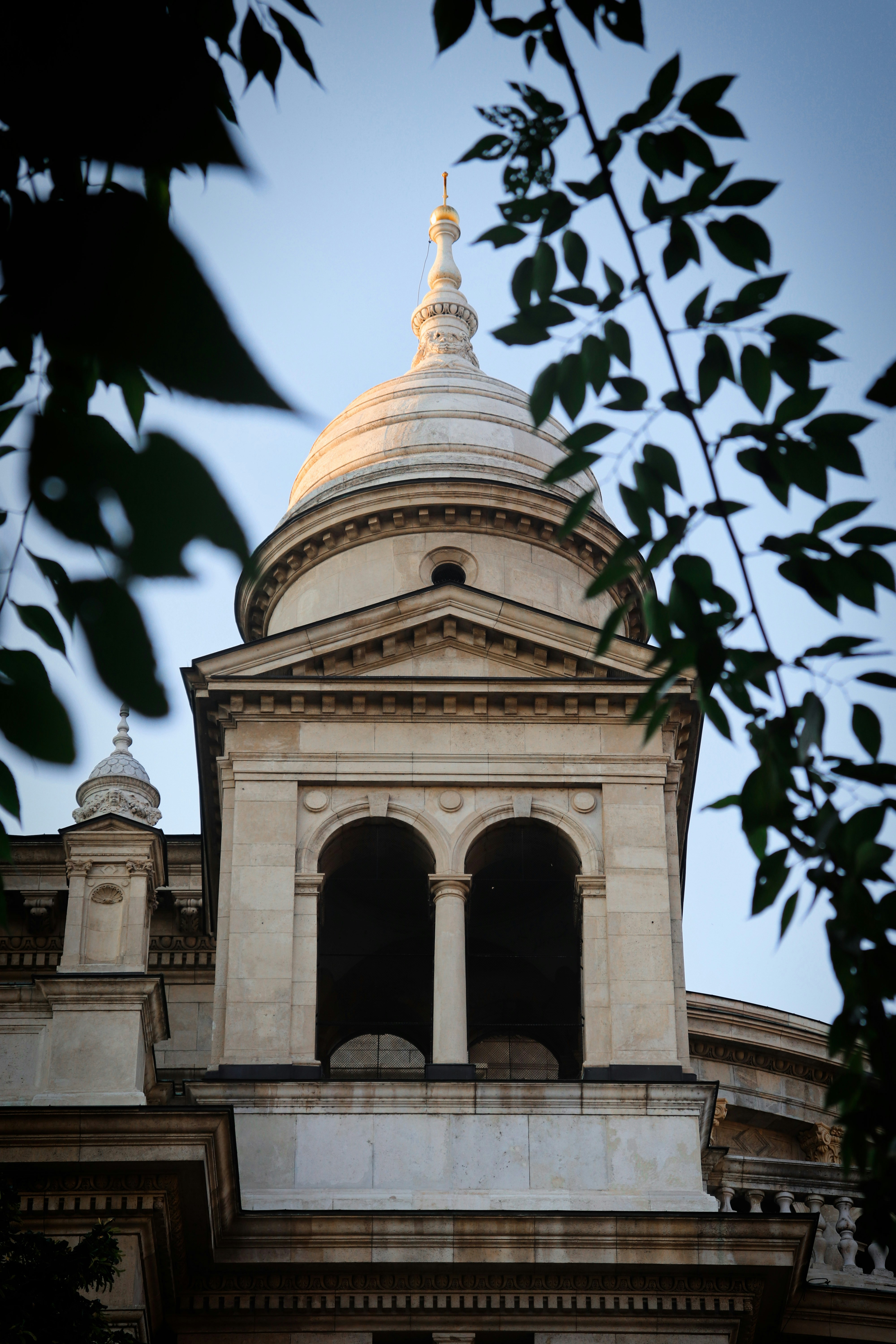 Framed by Foliage: The Dome's Quiet Ascension