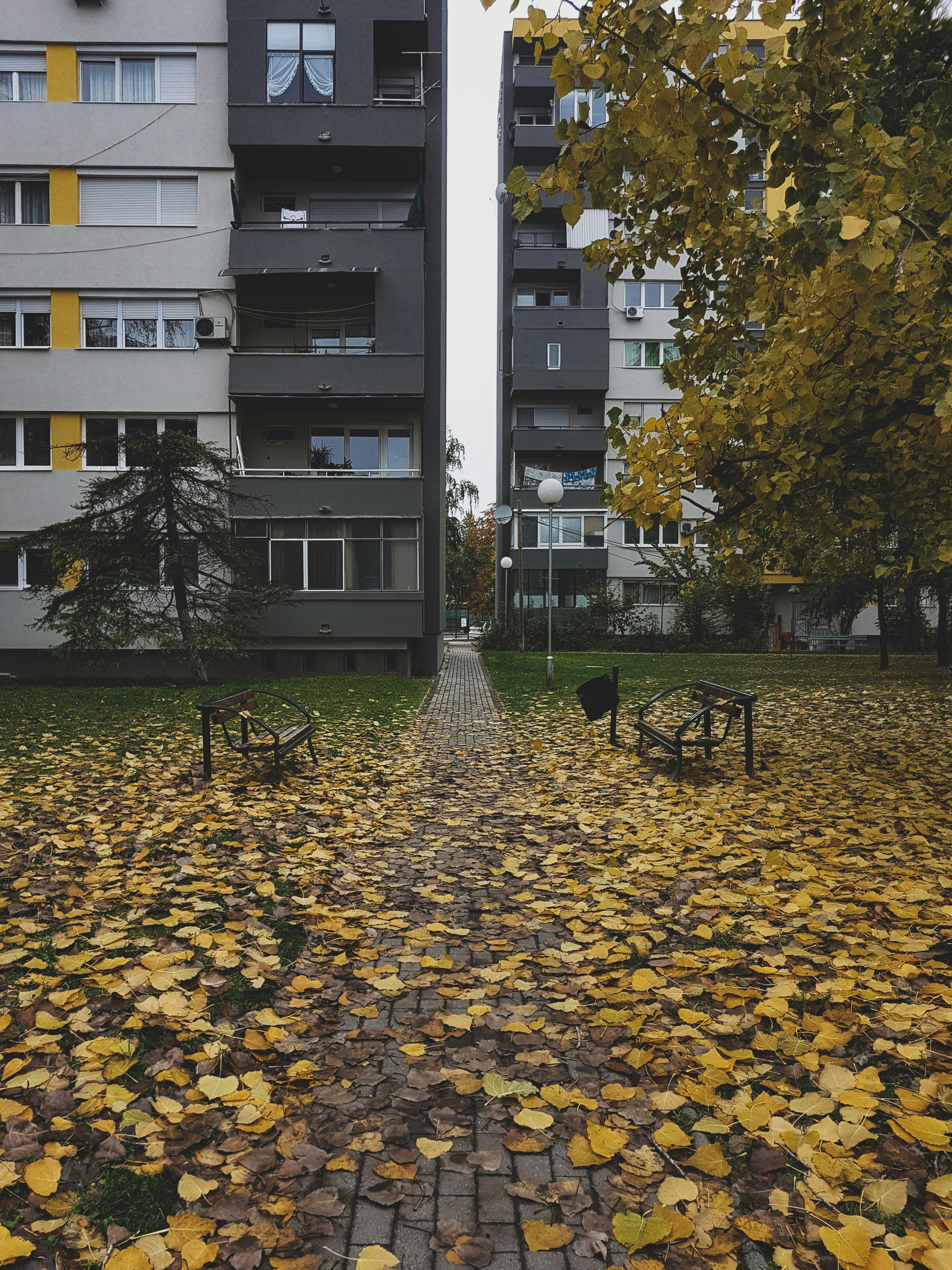 Between Grey Towers: A Vanishing Path Through Autumn Leaves