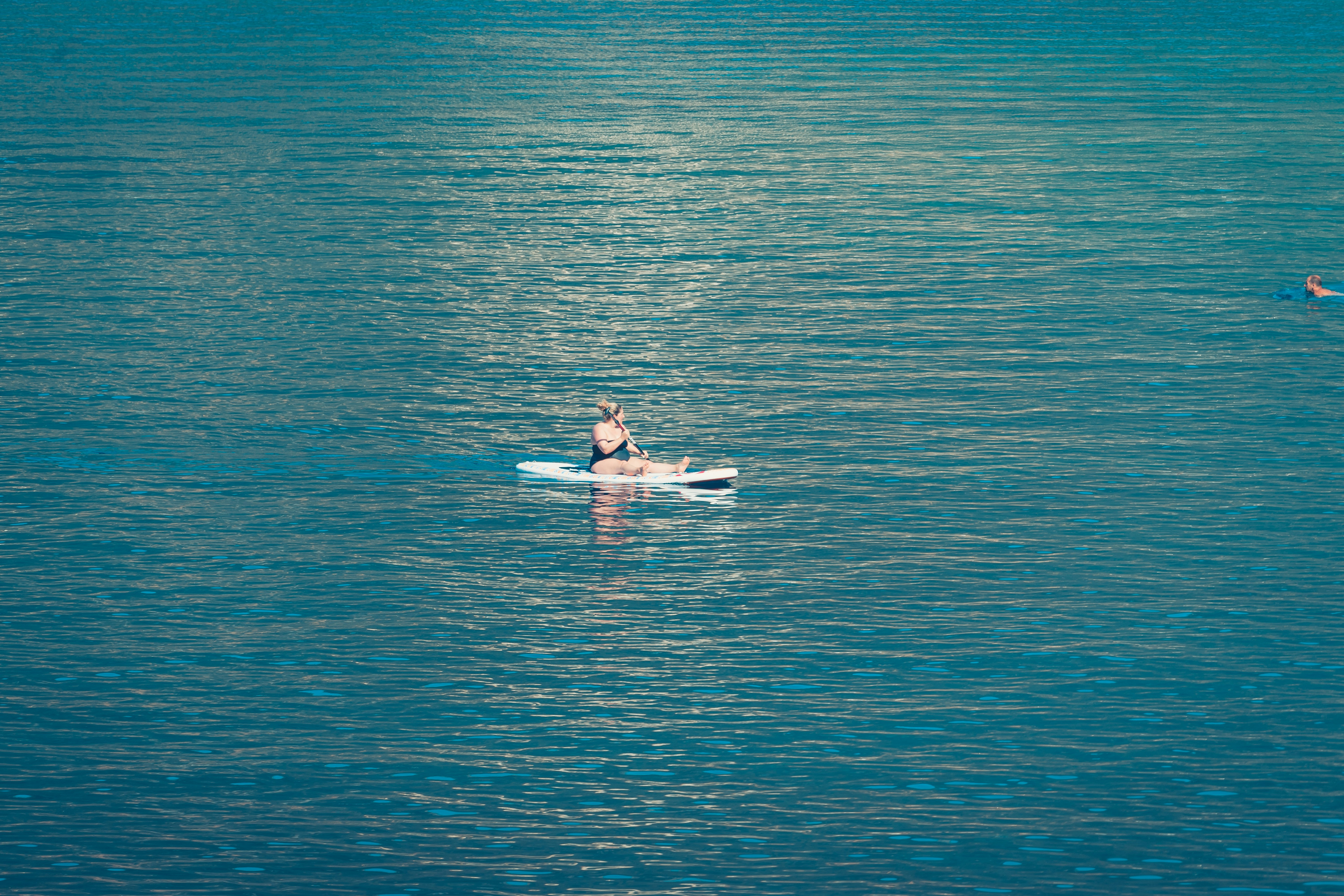 Person riding on boa photo – Free Human Image on Unsplash
