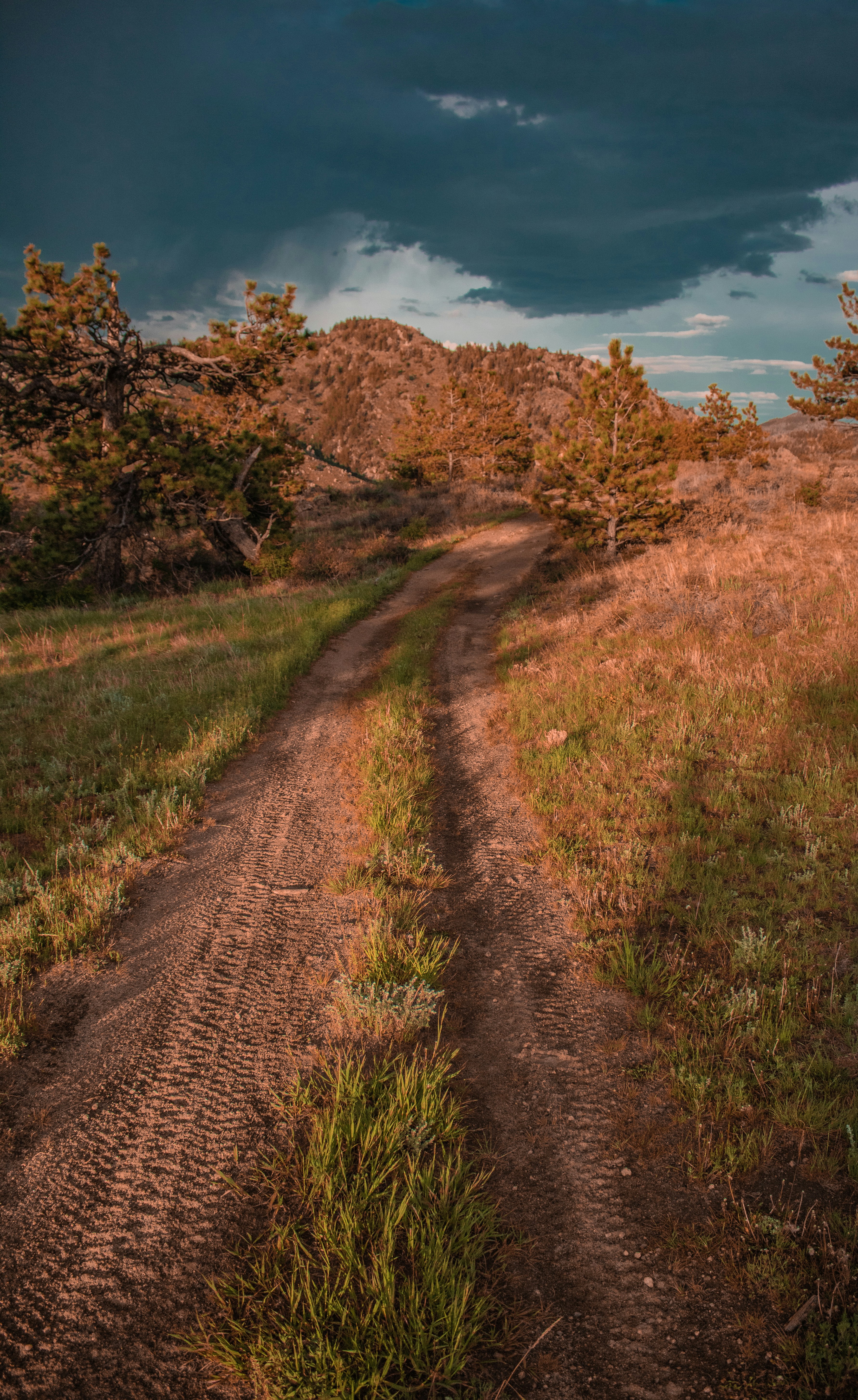 Country Dirt Road In The Fall