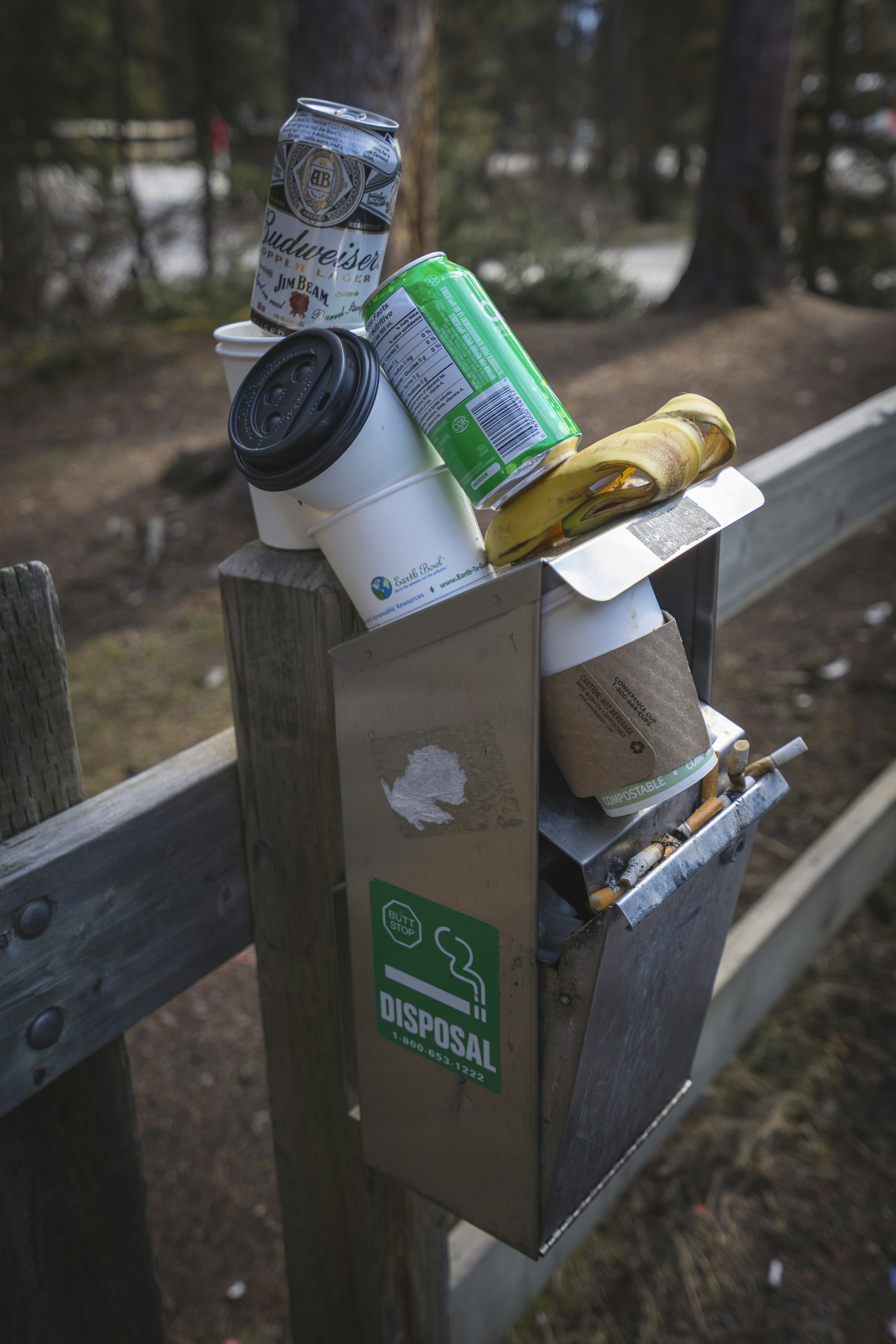 Weathered Disposal Post Overflows with Park Litter in the Woods
