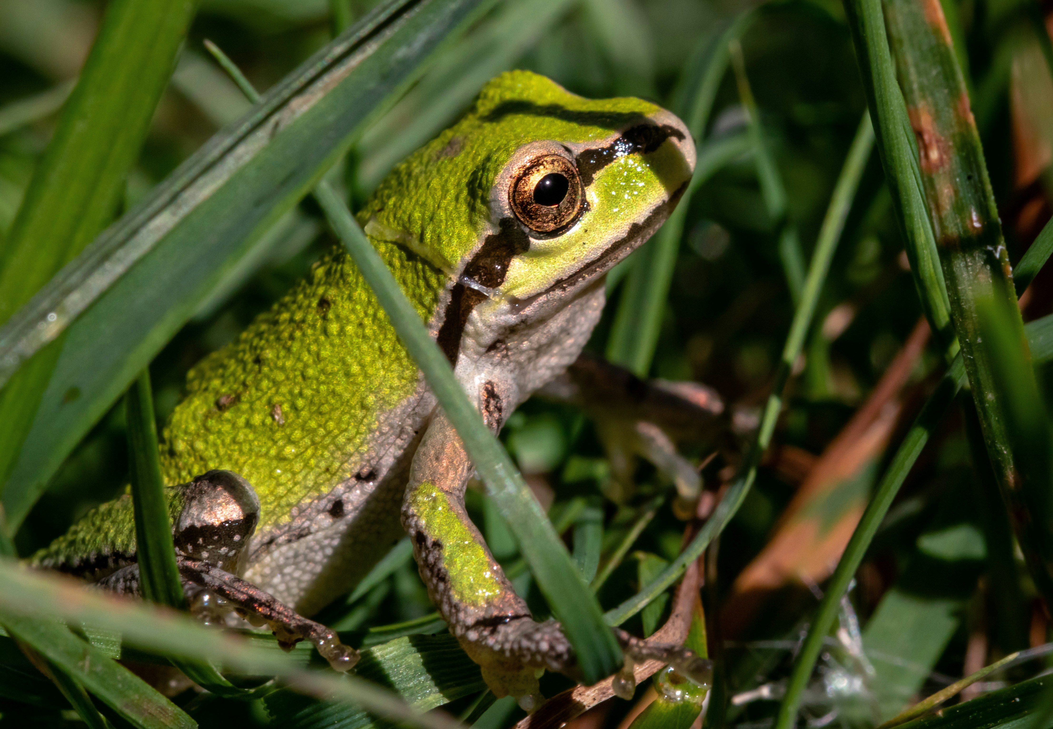 Michael Anfang (@manfang) | Unsplash Photo Community