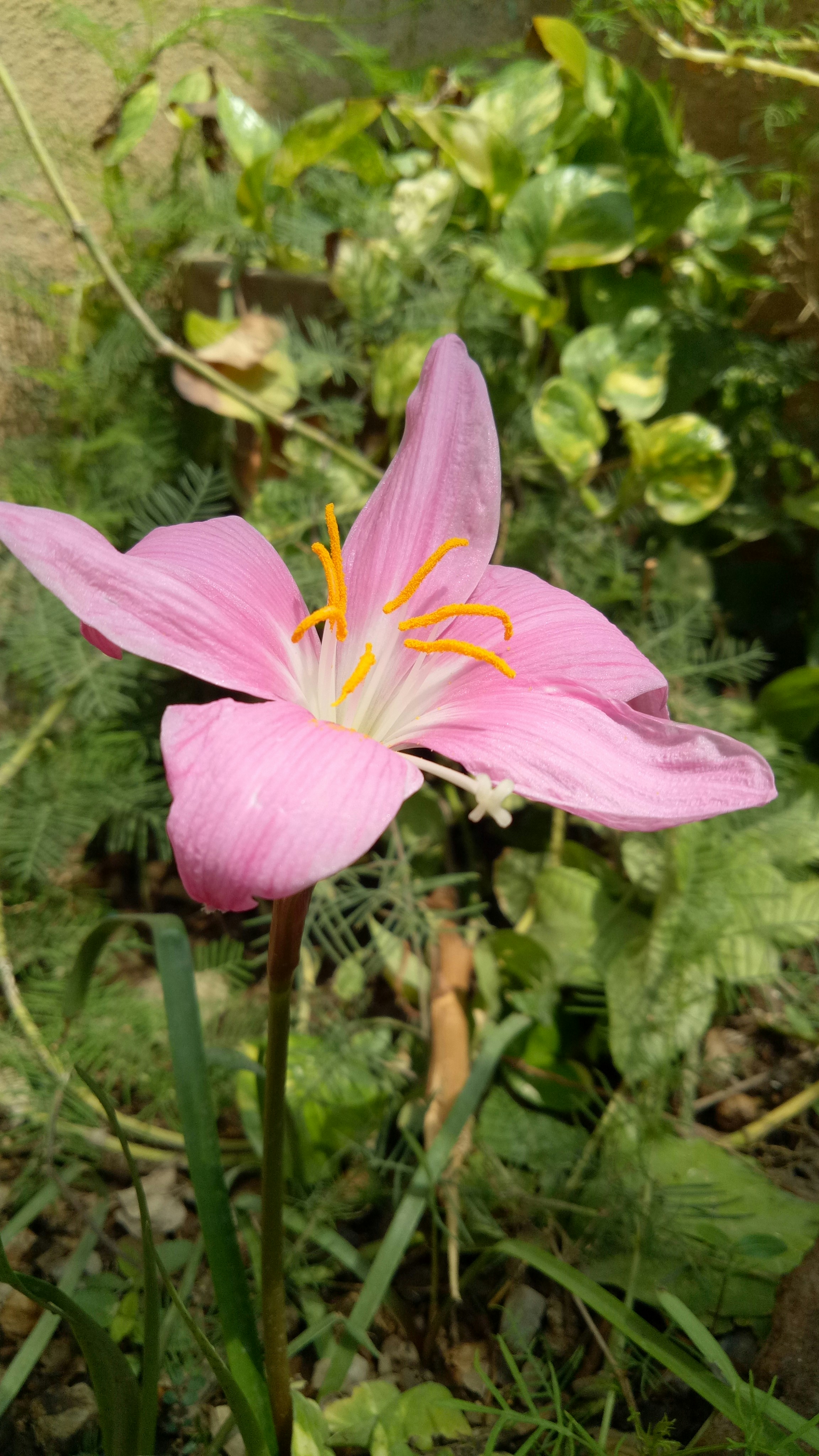 Pritesh Ugale (@pritesh10) | Unsplash Photo Community