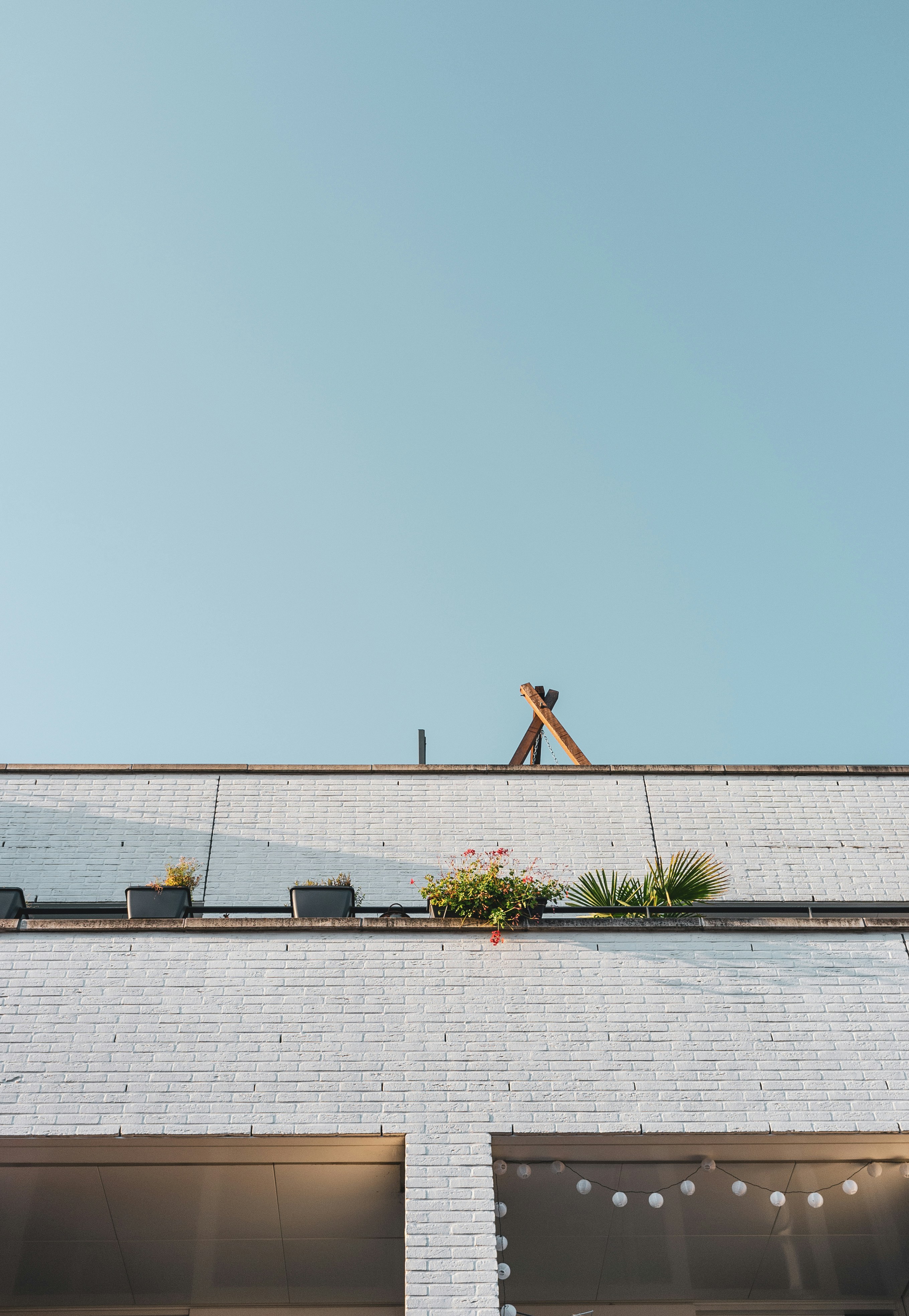 Crossbeam Crown: A Rustic X on a Plant-Lined Rooftop Against a Clear Blue Sky