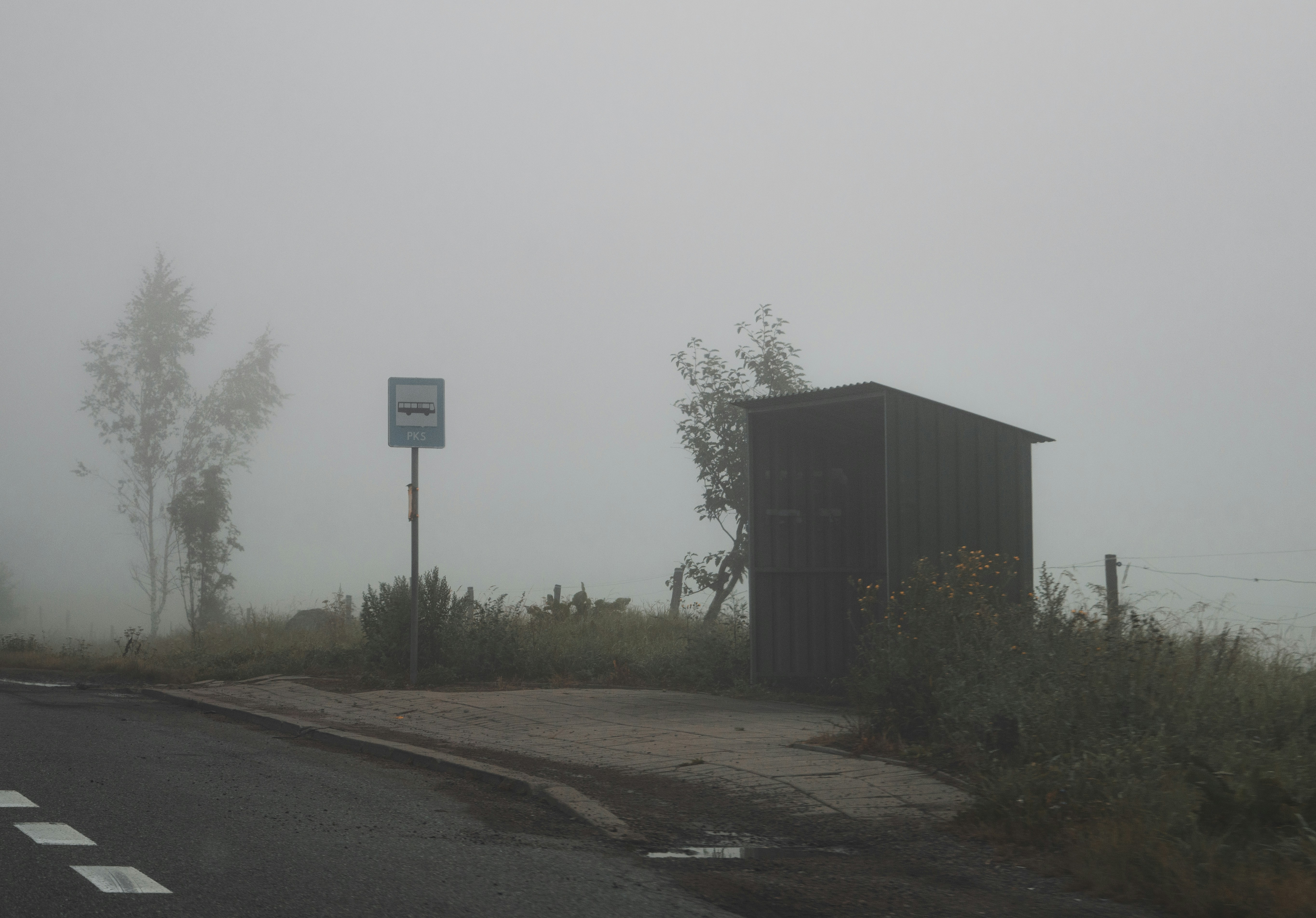 Mist-veiled Roadside: A Lone Sign Beside a Quiet Shelter