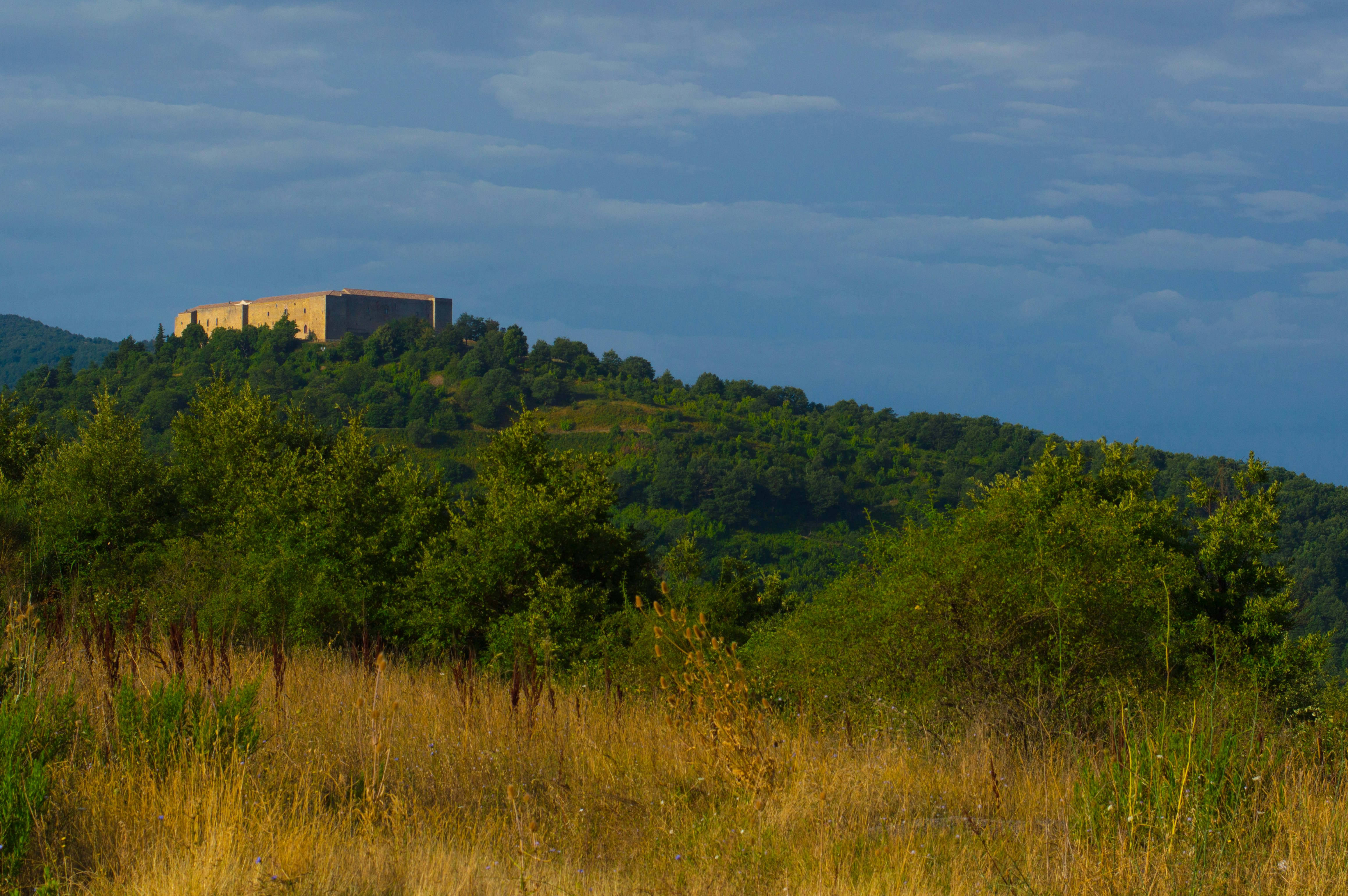 Stone castle perched atop a densely forested hill under a cloudy sky.