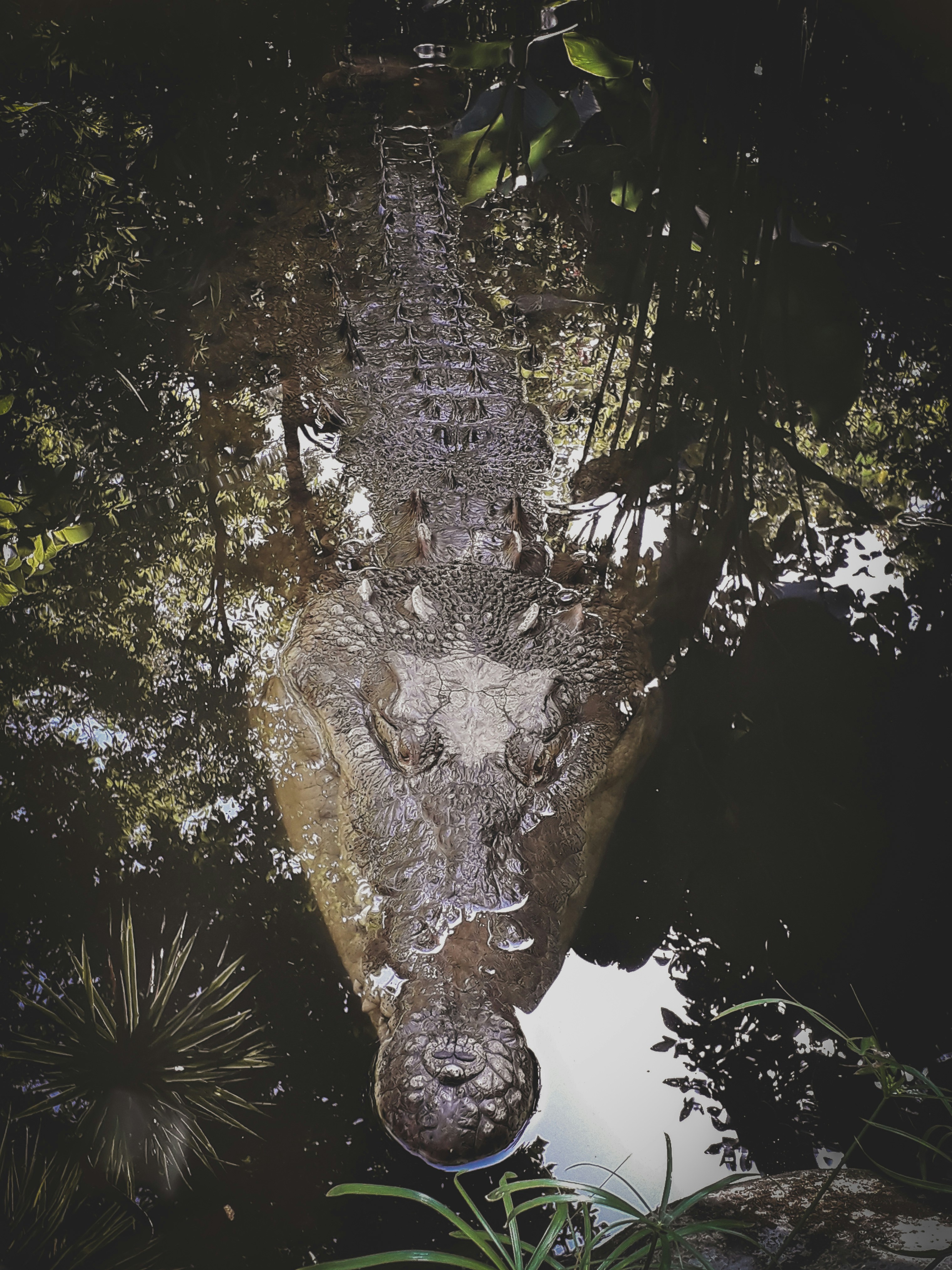 Sample photo from Samsung Galaxy J6