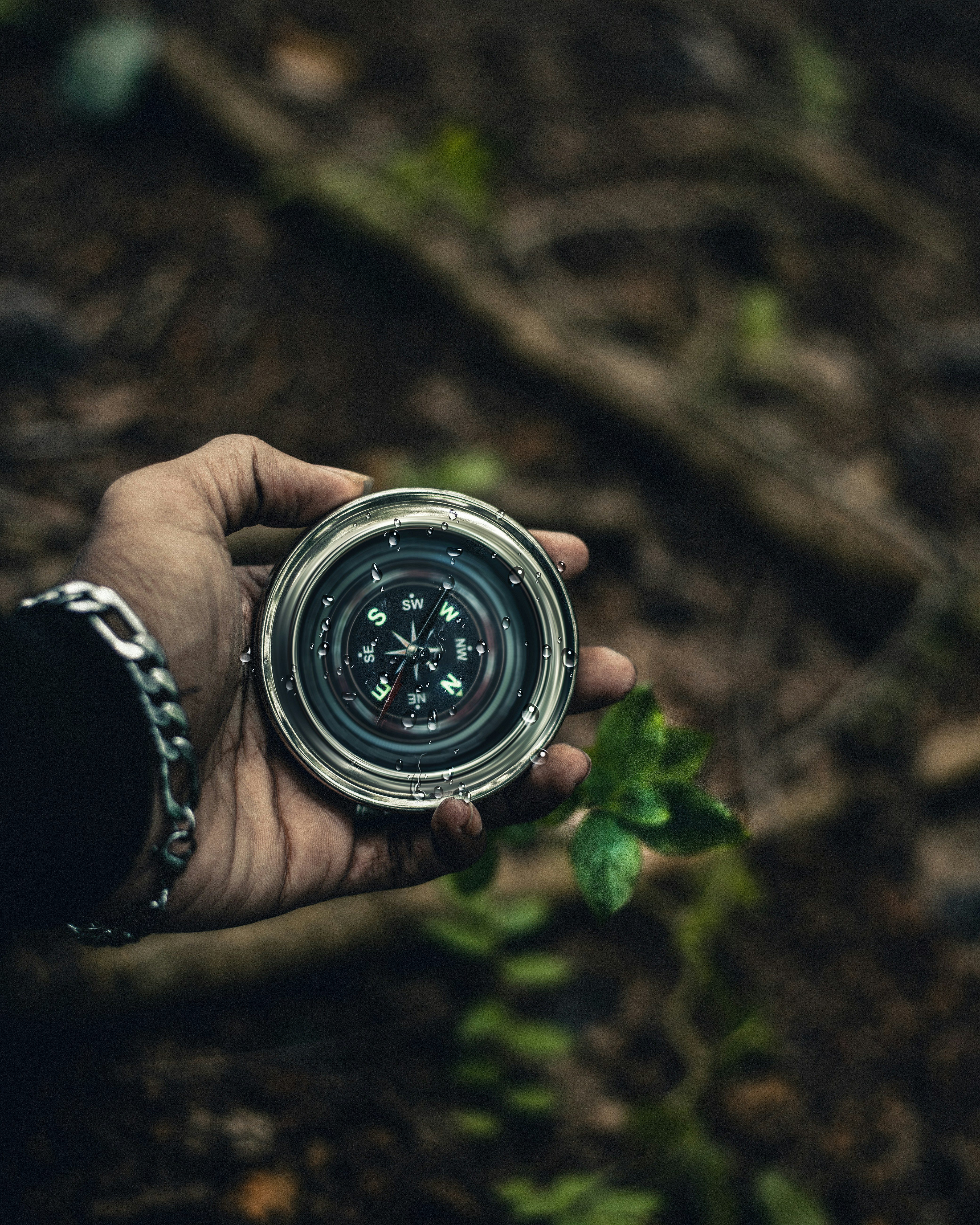 Hand holding a vintage compass amidst a forest floor, surrounded by greenery and earthy tones.