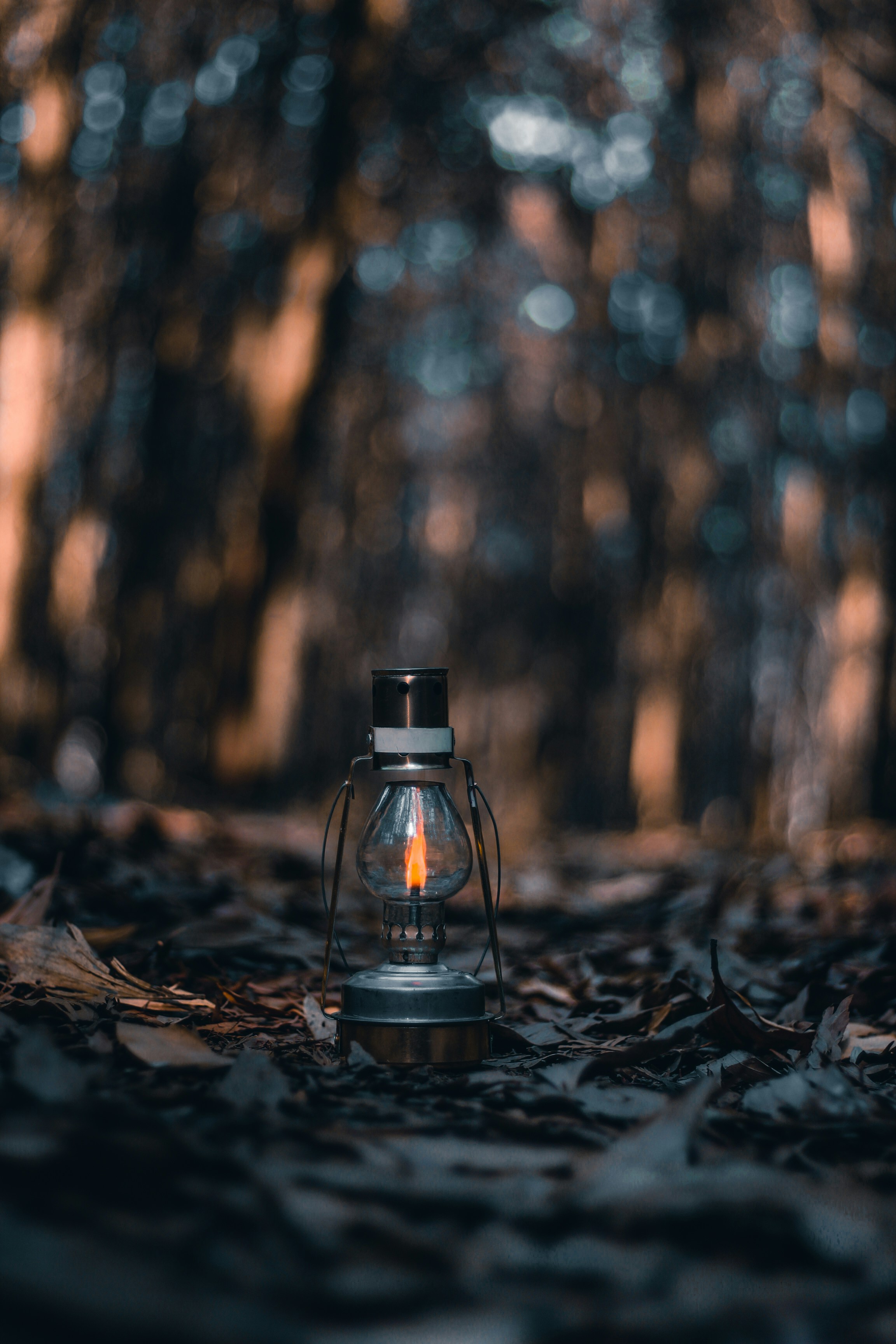 WALLPAPER LANTERN,LIGHTS,EVENING,FOREST,HD,PHOTOGRAPHY If you like my photos please follow me on Instagram❤️ www.Instagram.com/spirit619power Contact : zayyerrn@gmail.com / 🇲🇻 /+960 7433679