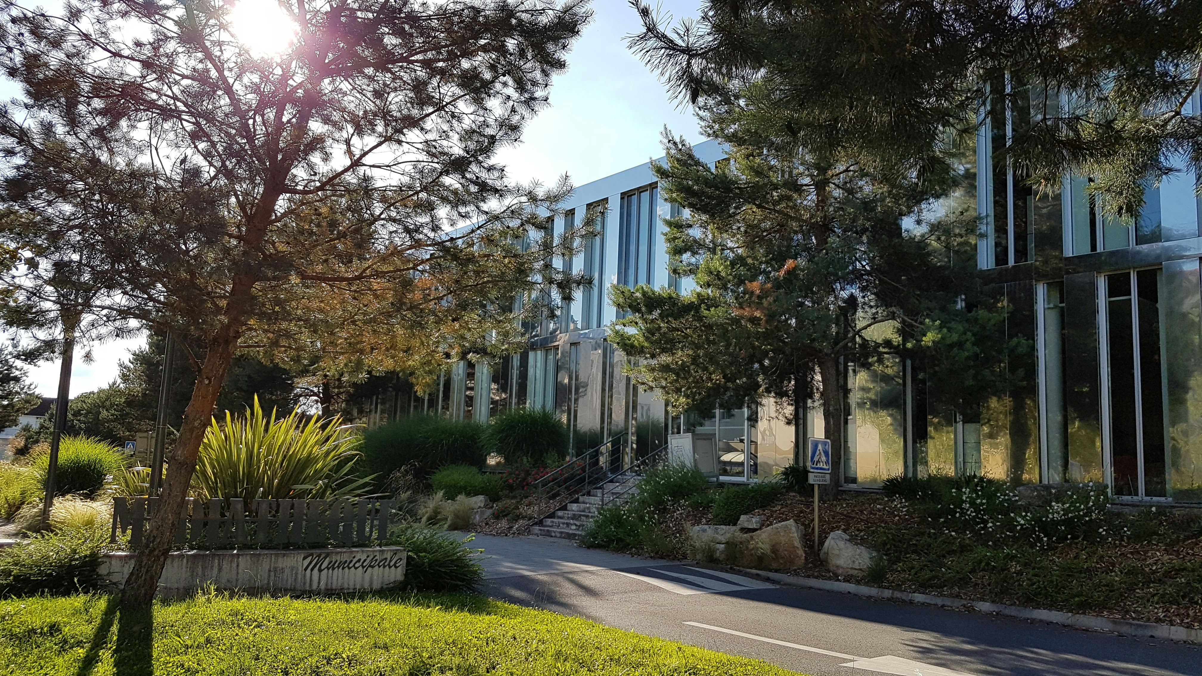 Green trees beside building during daytime photo – Free Building Image ...
