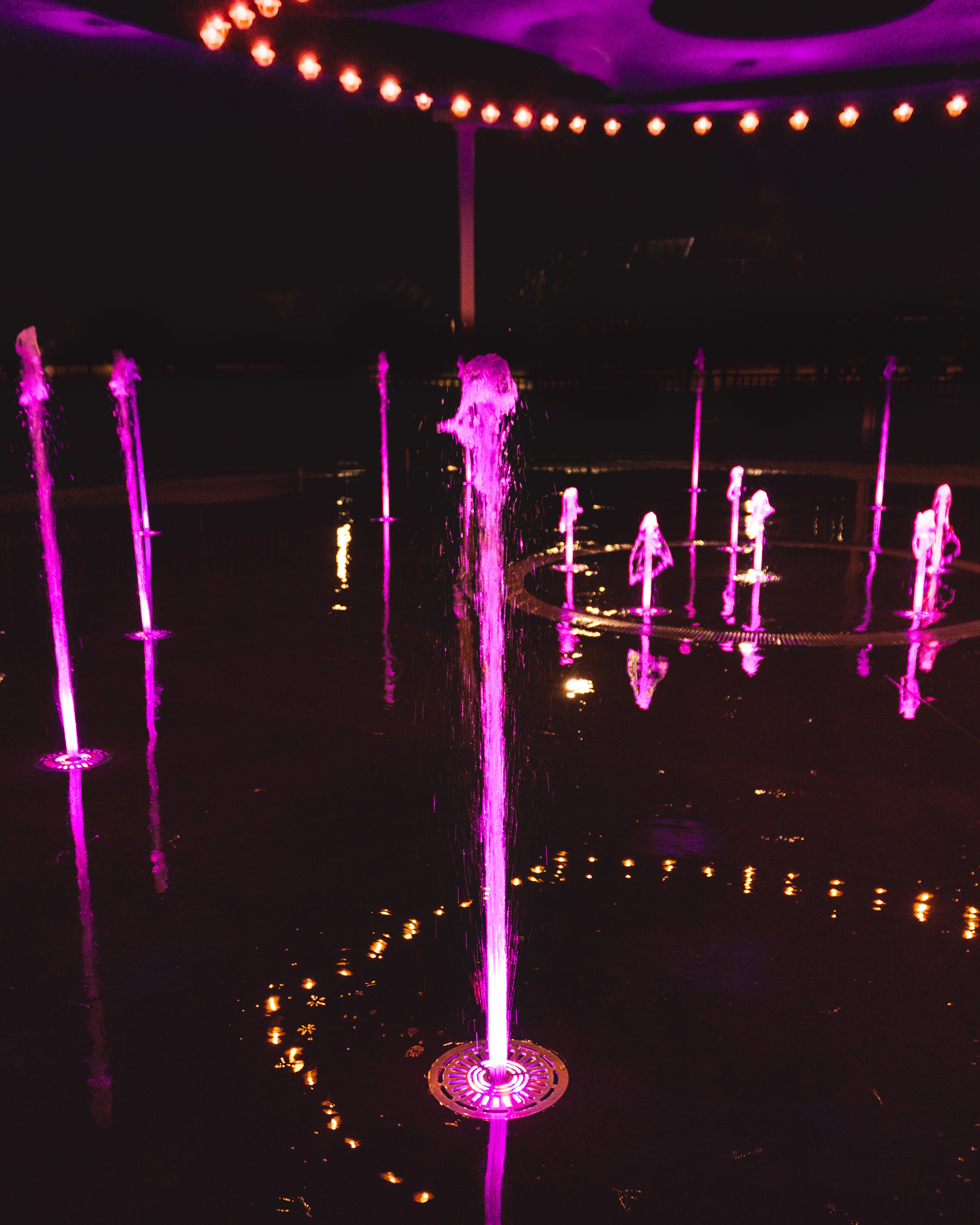 Magenta-lit fountain jets at night