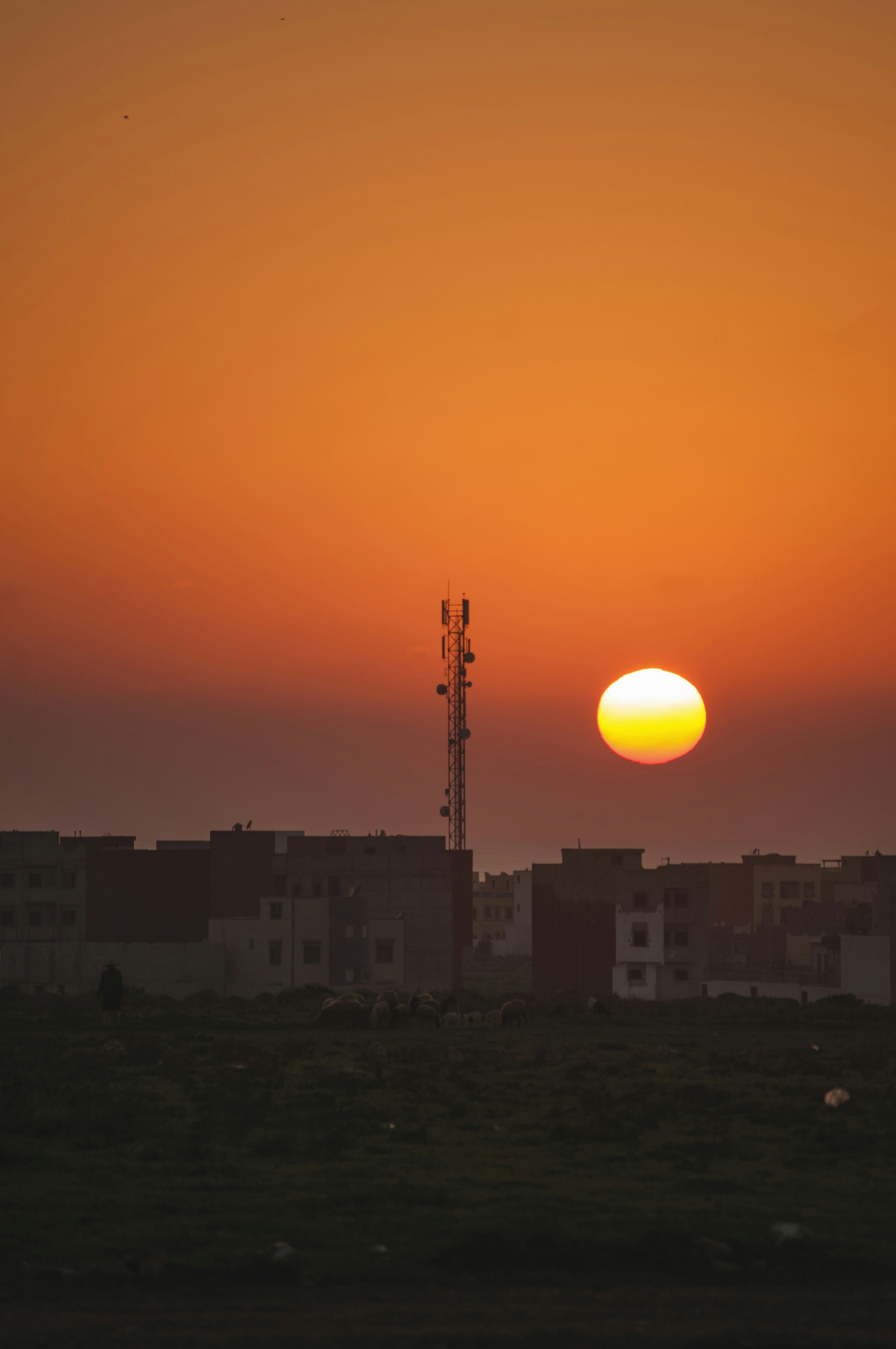 A telecommunications tower rises amidst a cityscape as the sun sets, casting a warm glow over the buildings. The scene captures the transition from day to night.