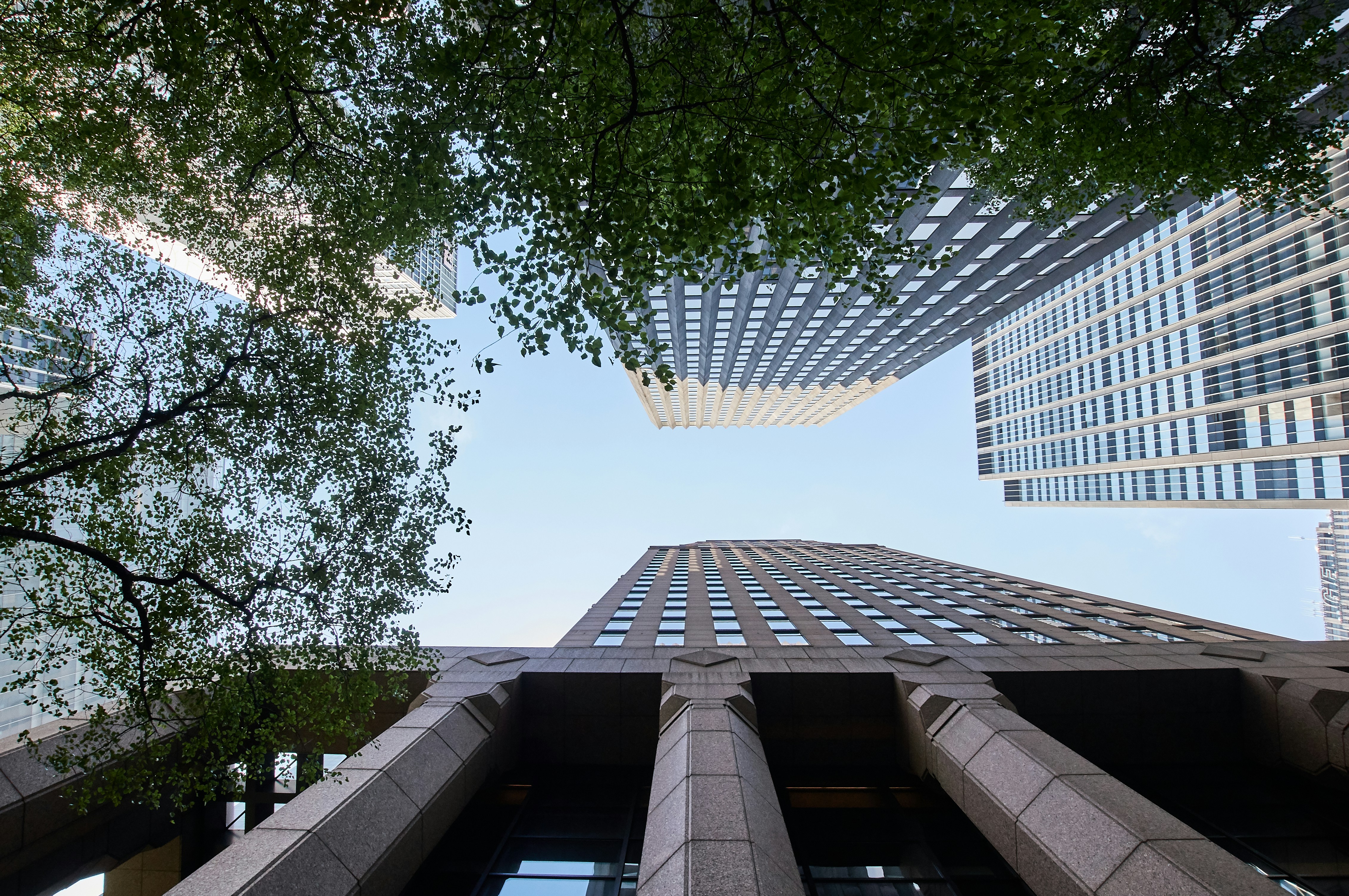 Fotografía de contrapicado de edificios foto – Imagen de Edificio ...