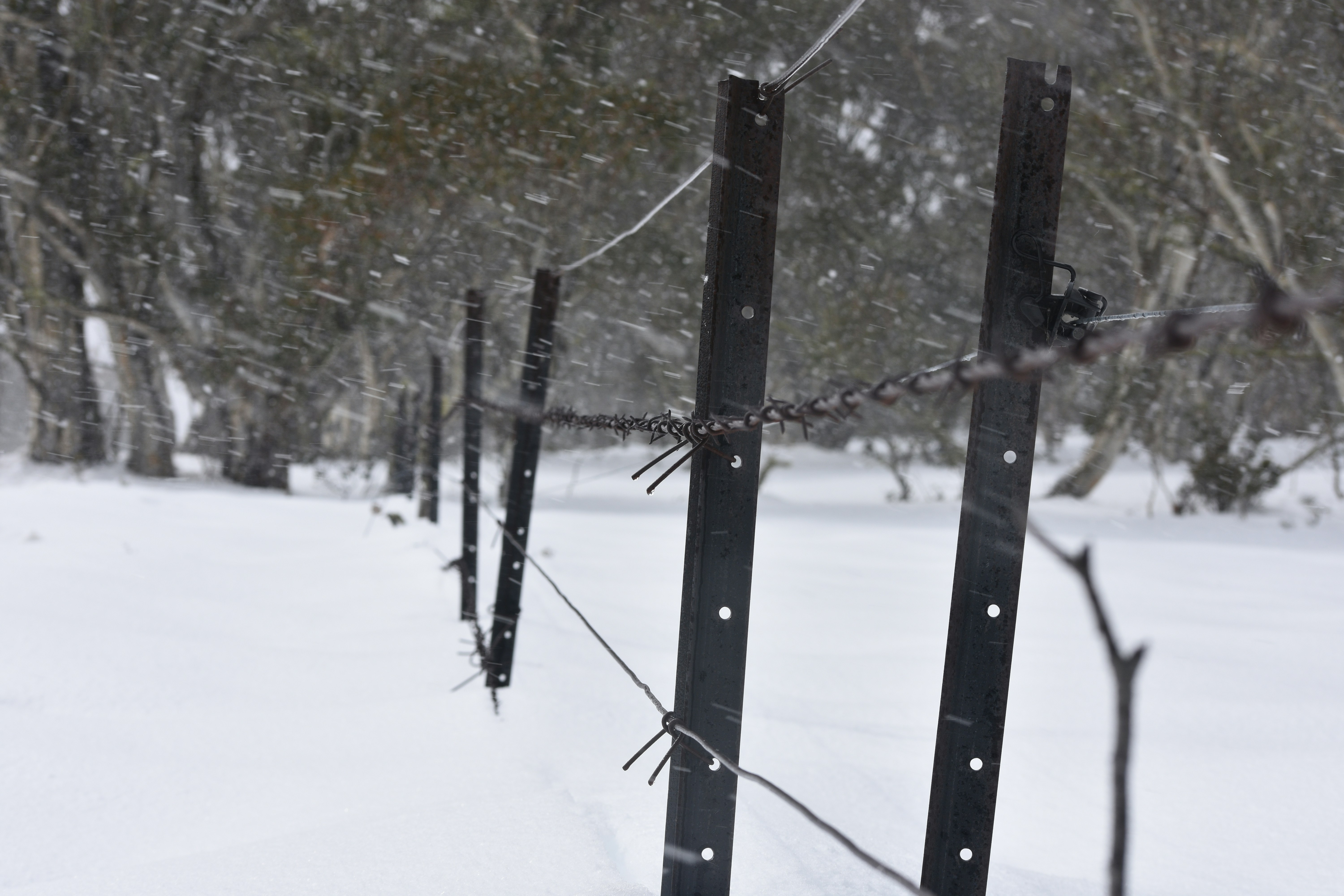 black metal fence