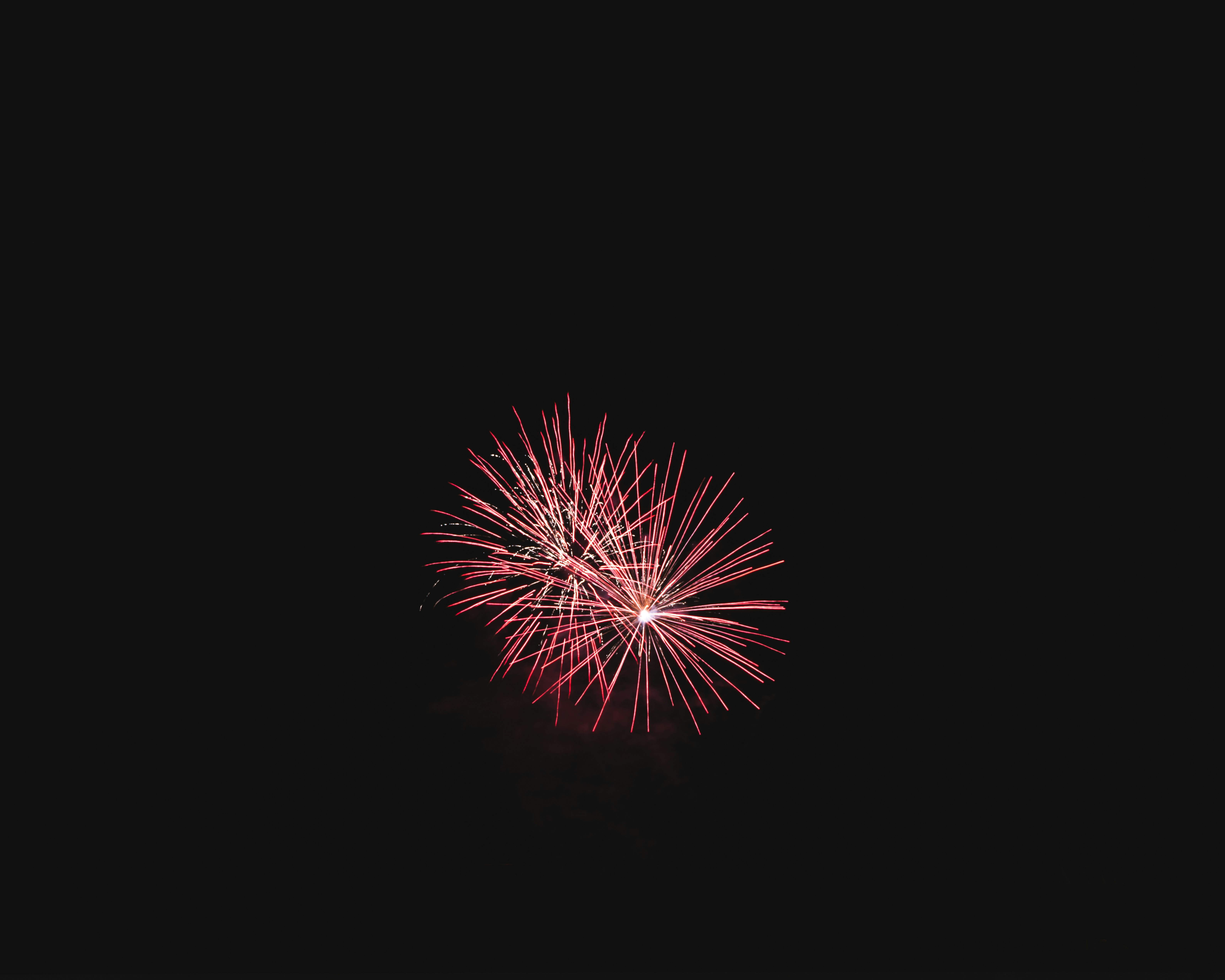 Vibrant pink fireworks burst against a deep black sky, creating a mesmerizing display of light and color.