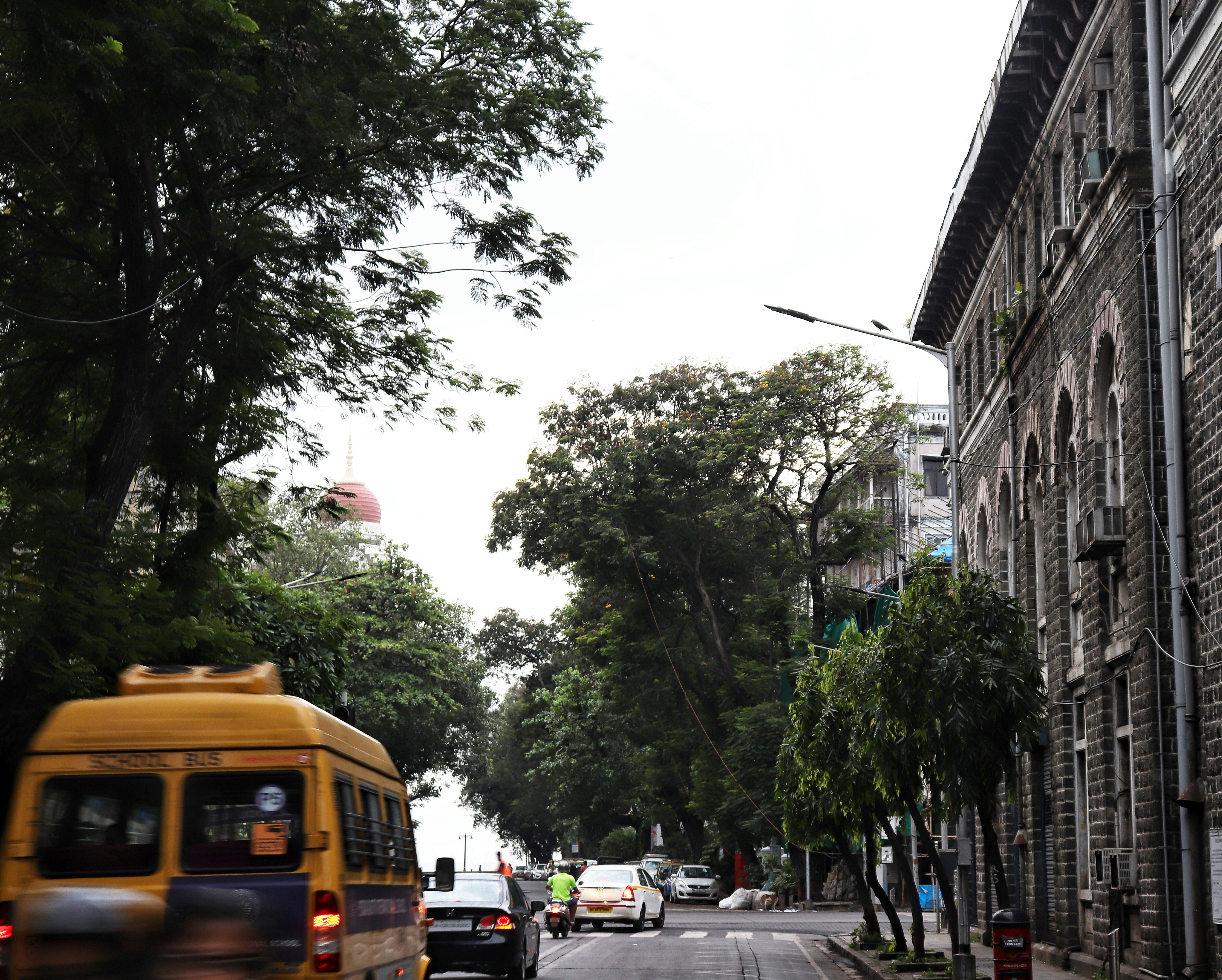 Historic architecture lining a tree-filled street with vehicles in motion, showcasing the blend of urban life and nature.
