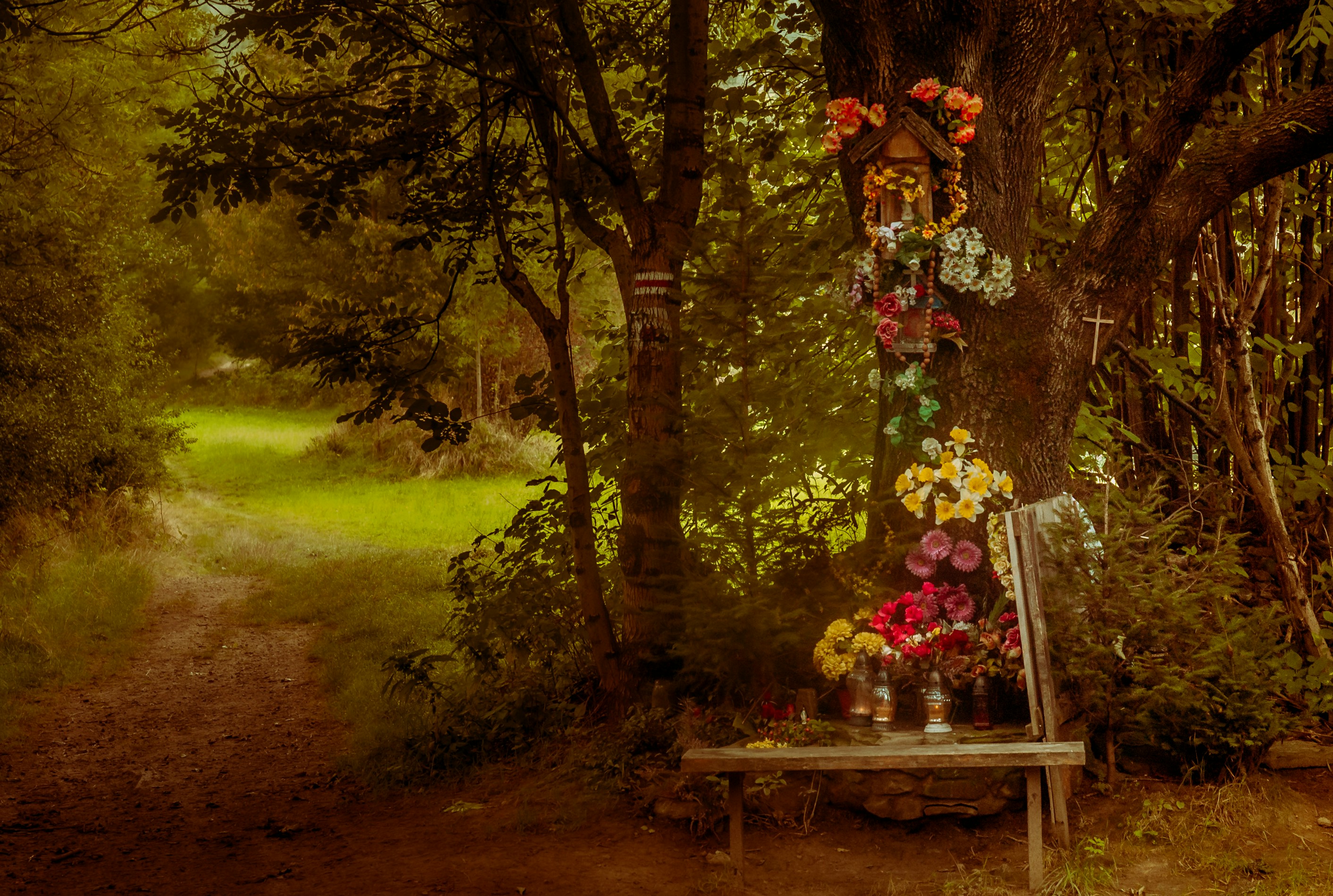 Floral Shrine in Golden Wood Along a Quiet Path