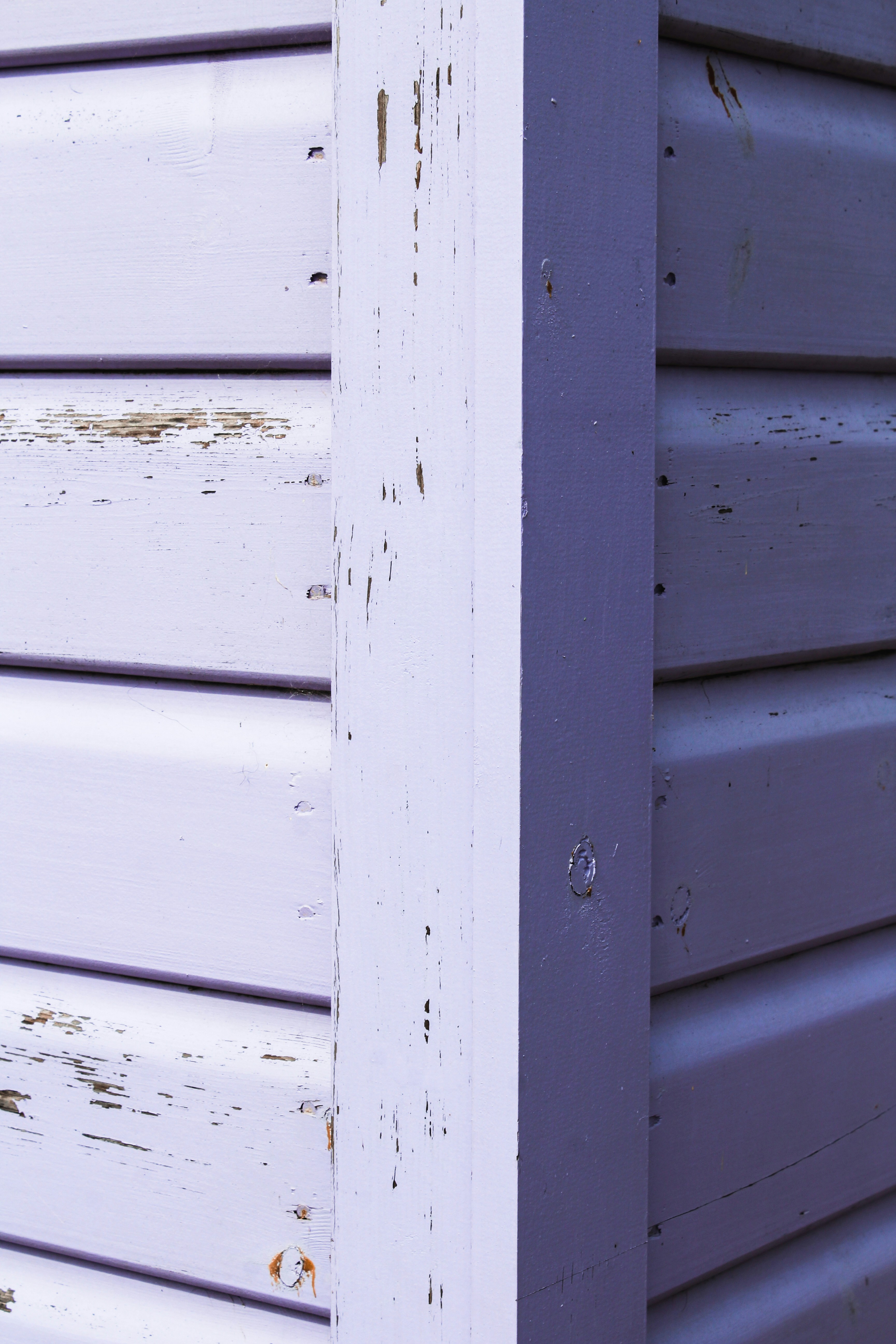 Lavender Corner: Weathered Siding and Quiet Silhouette