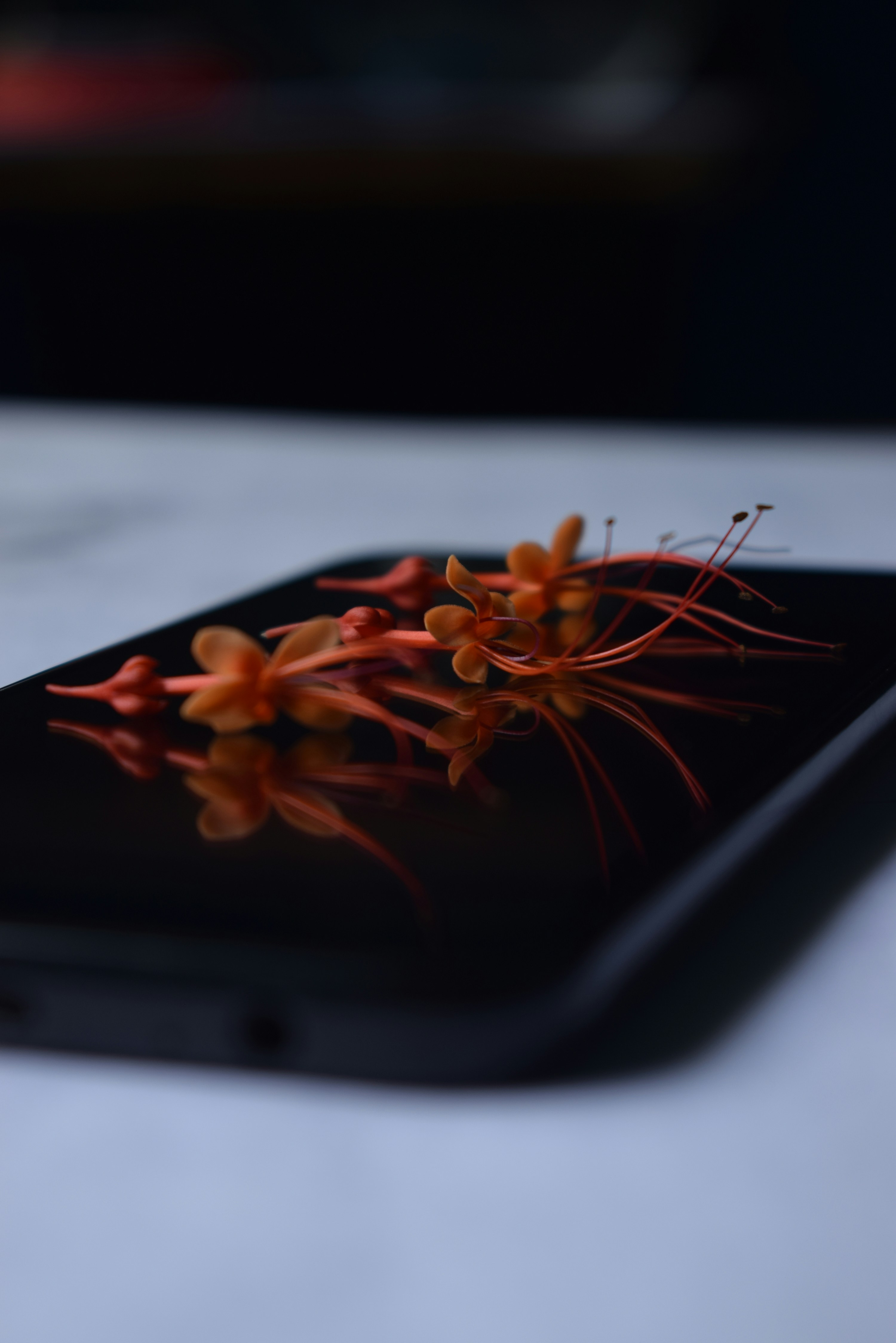 Floral Echo on a Glassy Screen