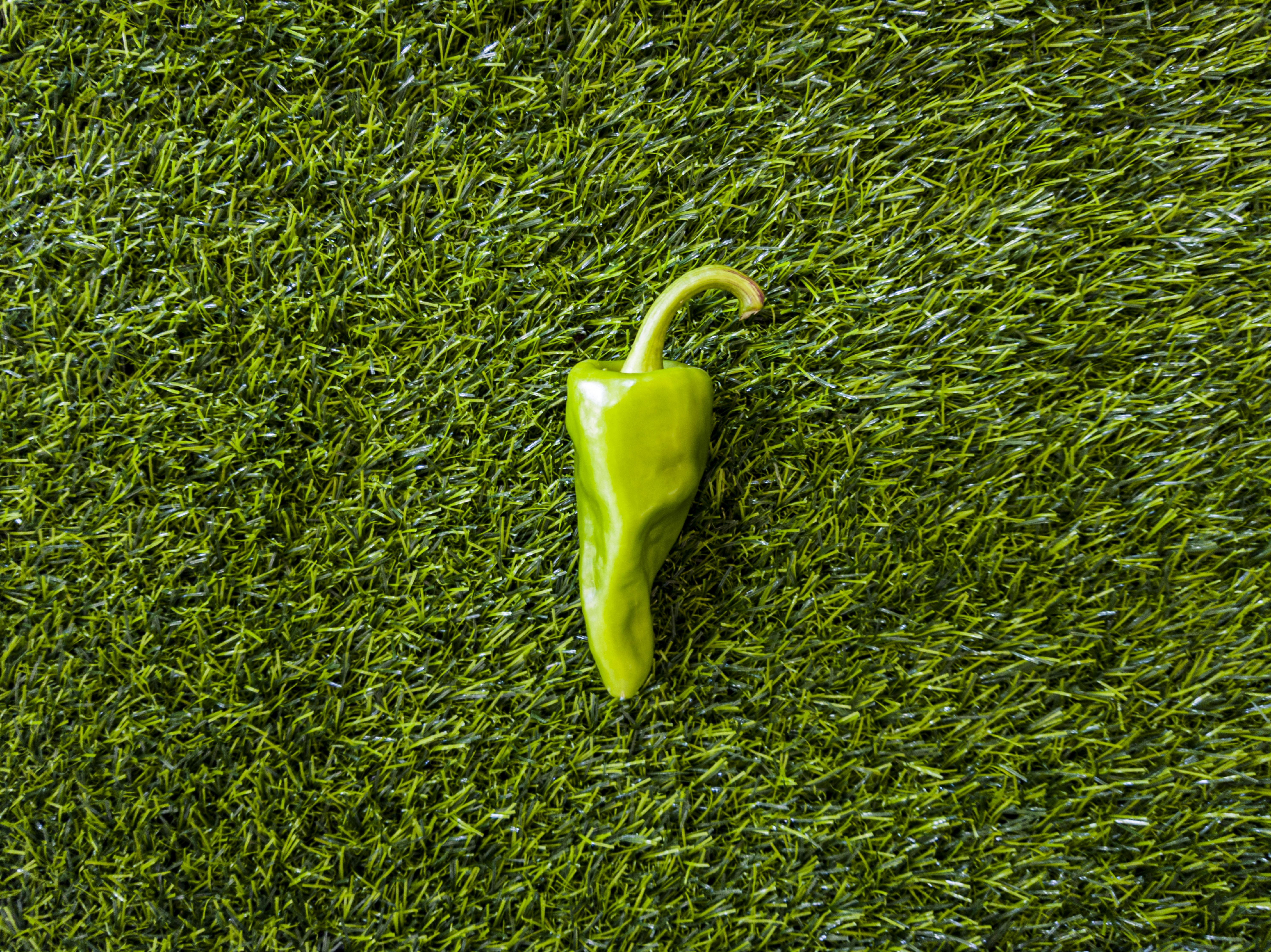Bell pepper on artificial grass