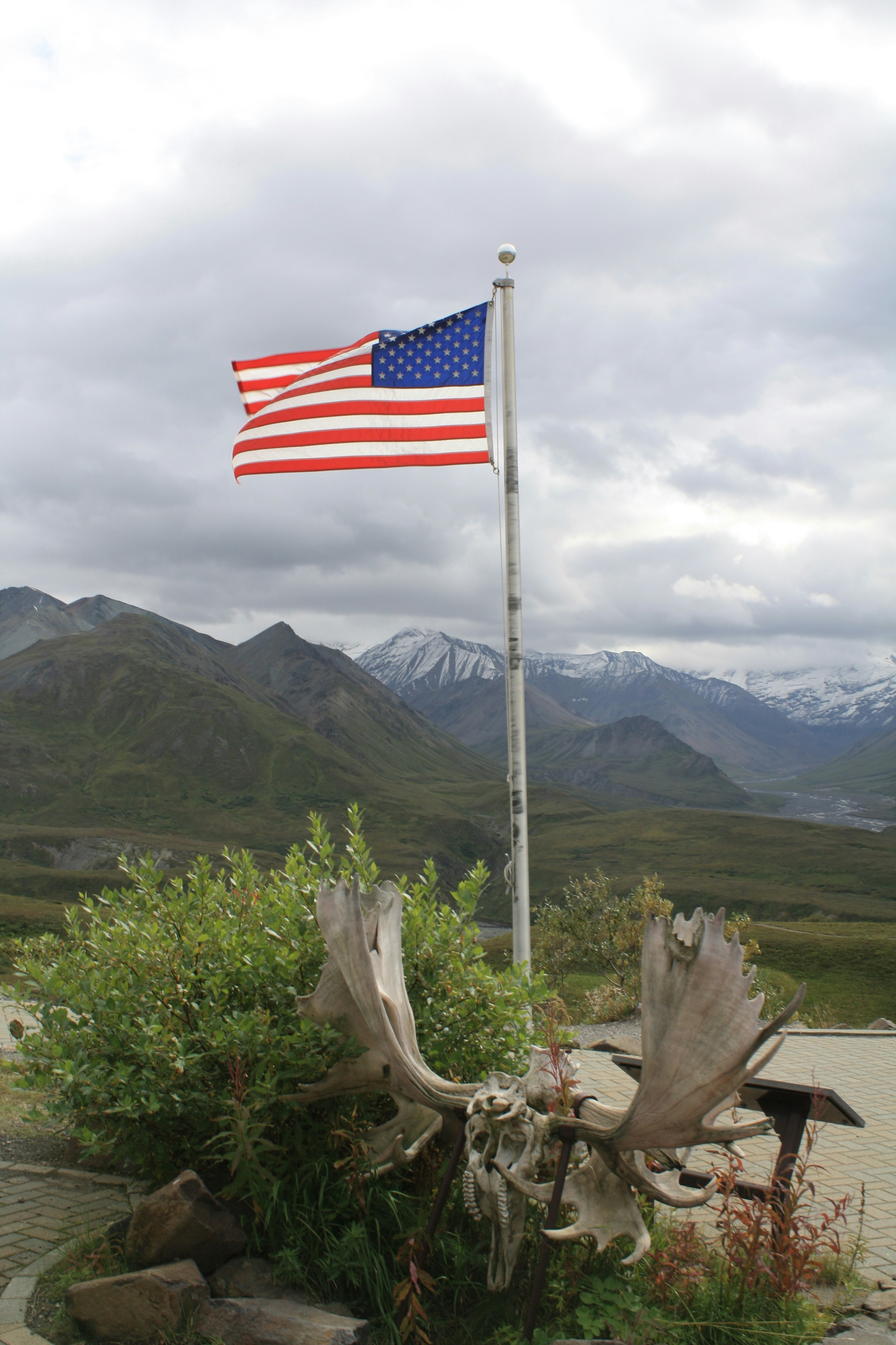 American flag proudly flying behind moose antlers.  Mt Denali hidden by clouds  Eilson Visitor Center, Denali National Park, Alaska.