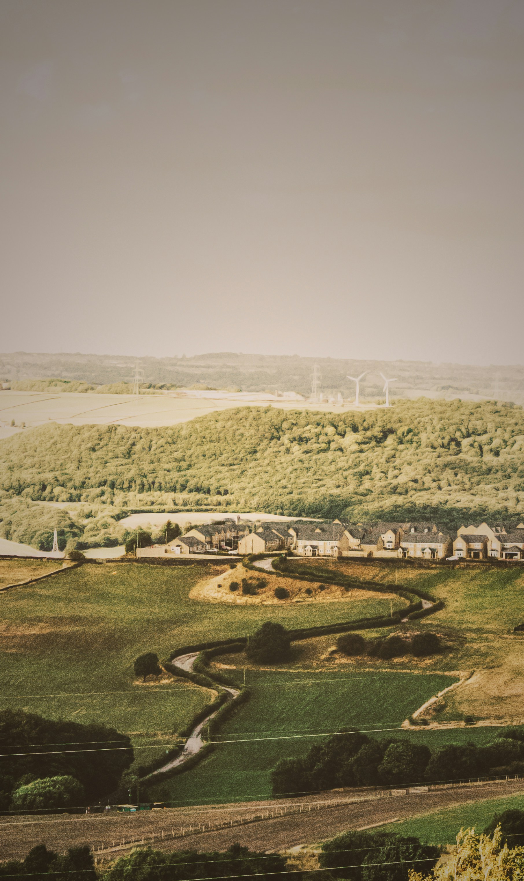 Winding Lane Through Golden Hills to a Quiet Village